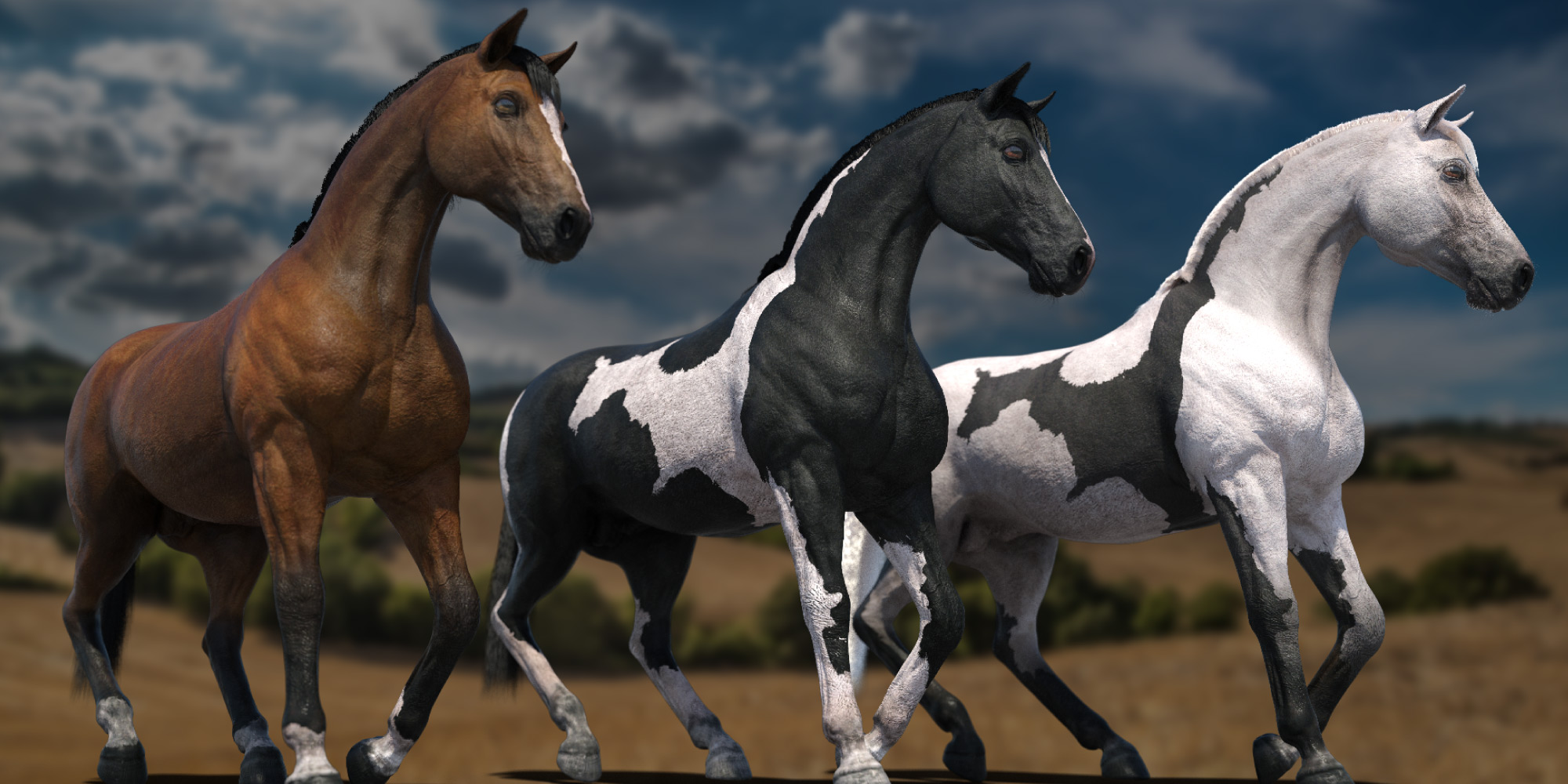 DA Daz Horse 3 Base Material Set | Daz 3D