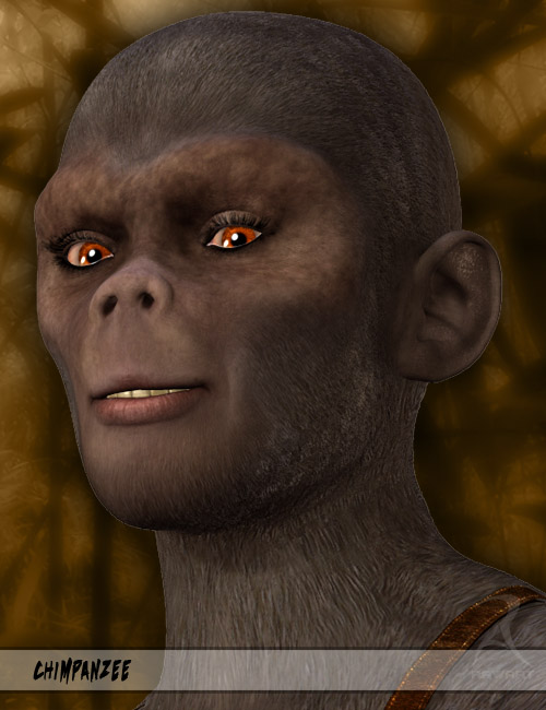 Ape World Chimpanzee | Daz 3D