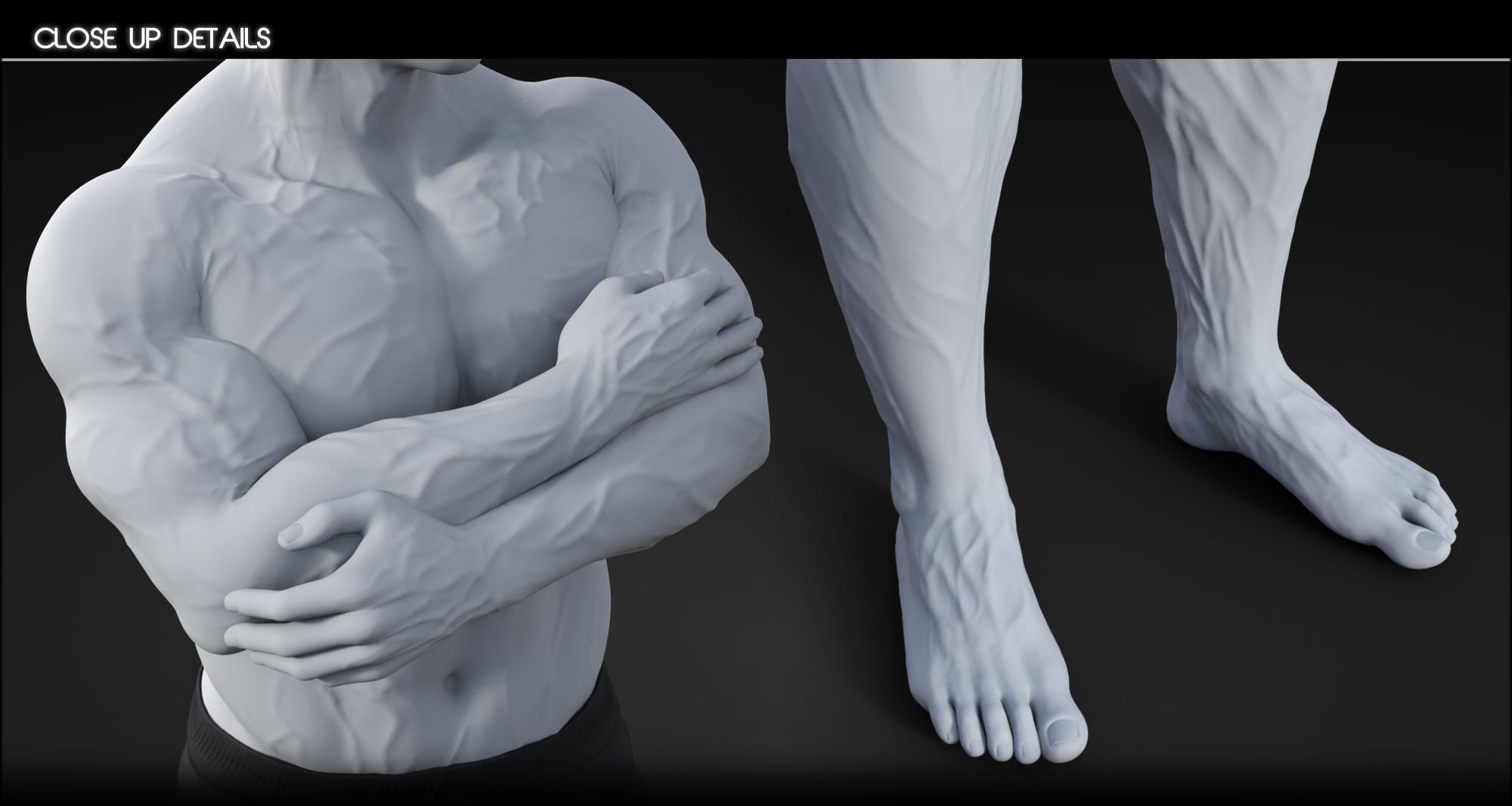 Vascularity HD for Genesis 9 | Daz 3D