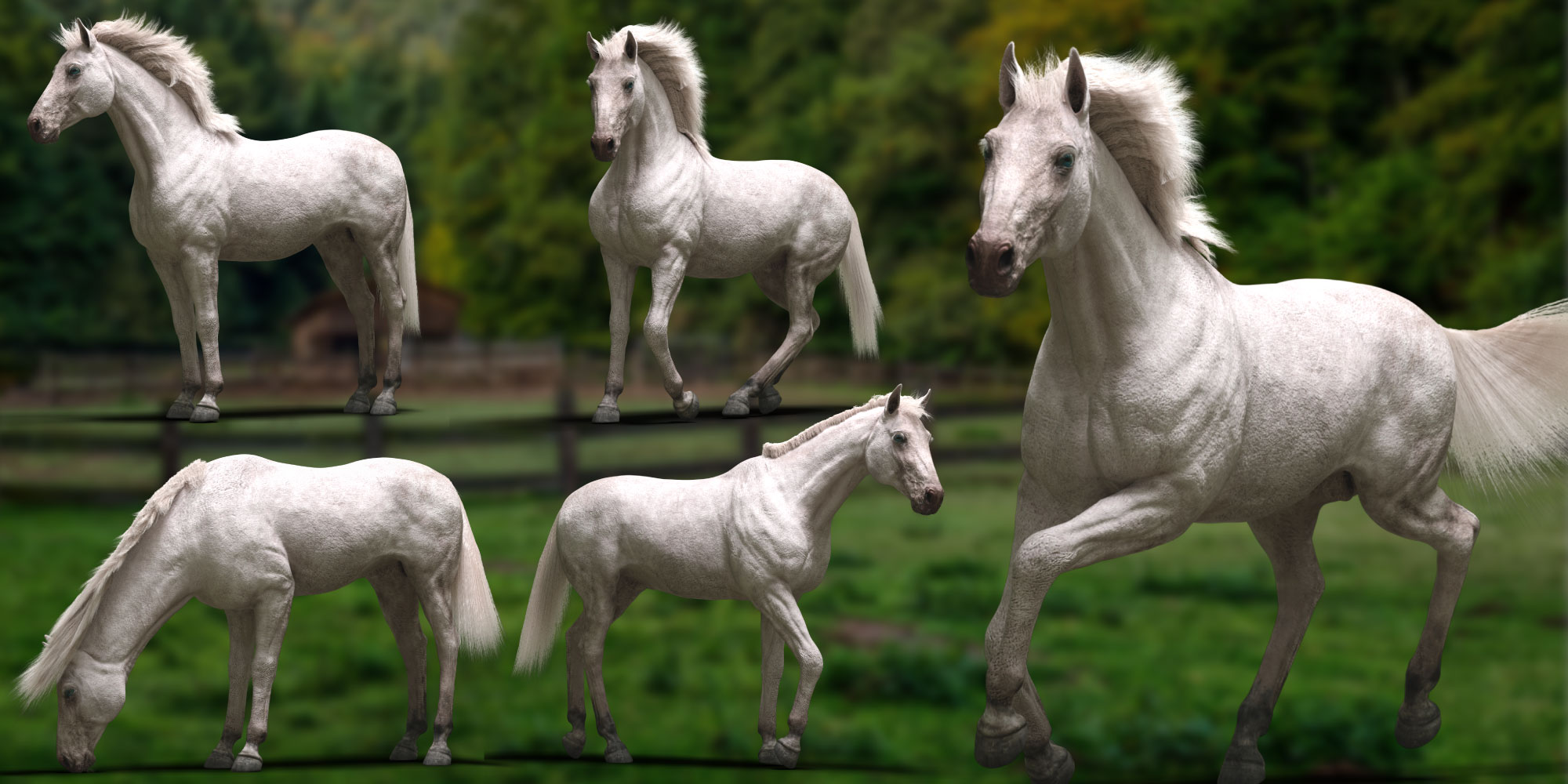 DA Wrangler Poses for Daz Horse 3 and Genesis 9 | Daz 3D