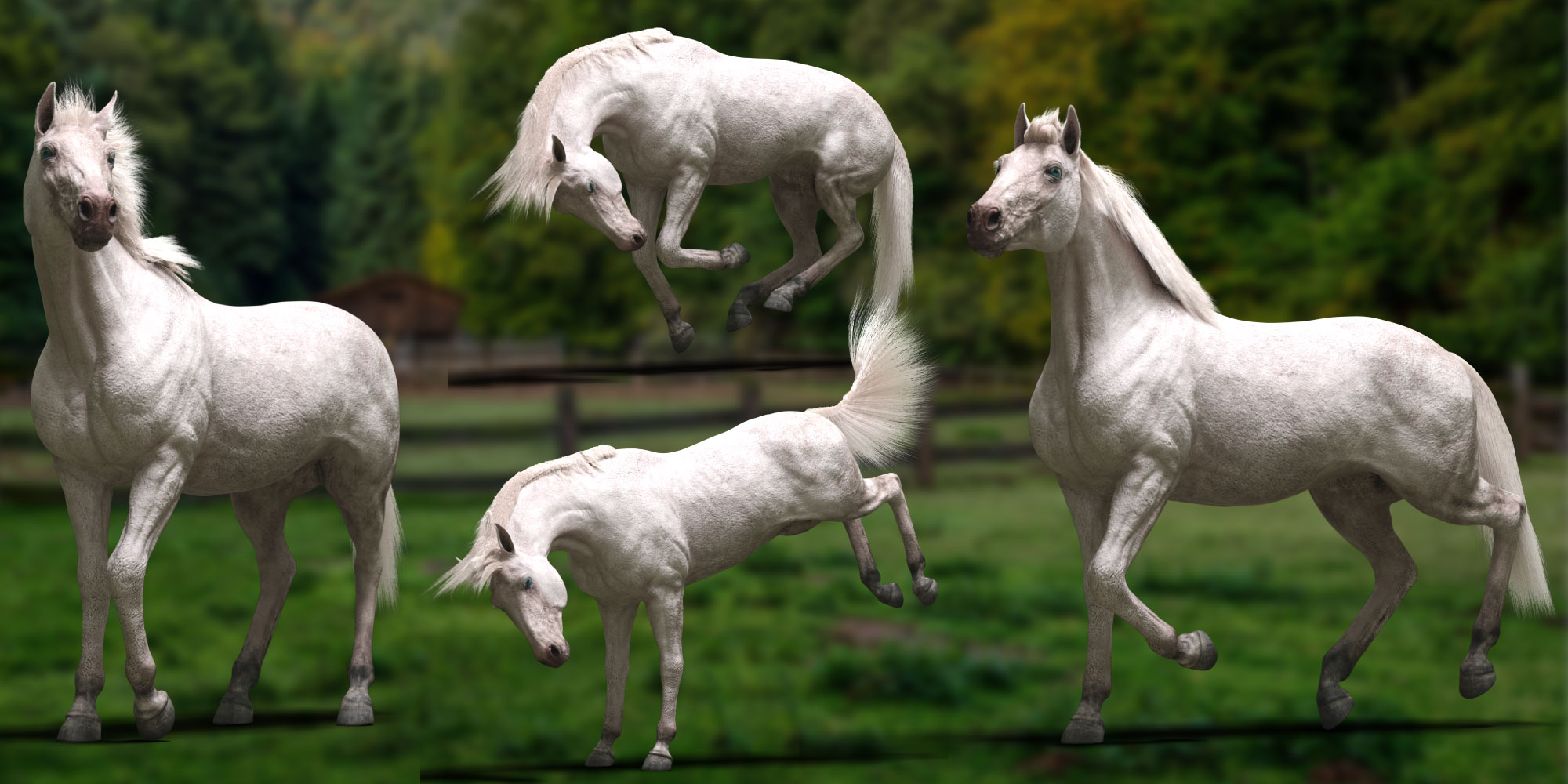 DA Wrangler Poses for Daz Horse 3 and Genesis 9 | Daz 3D