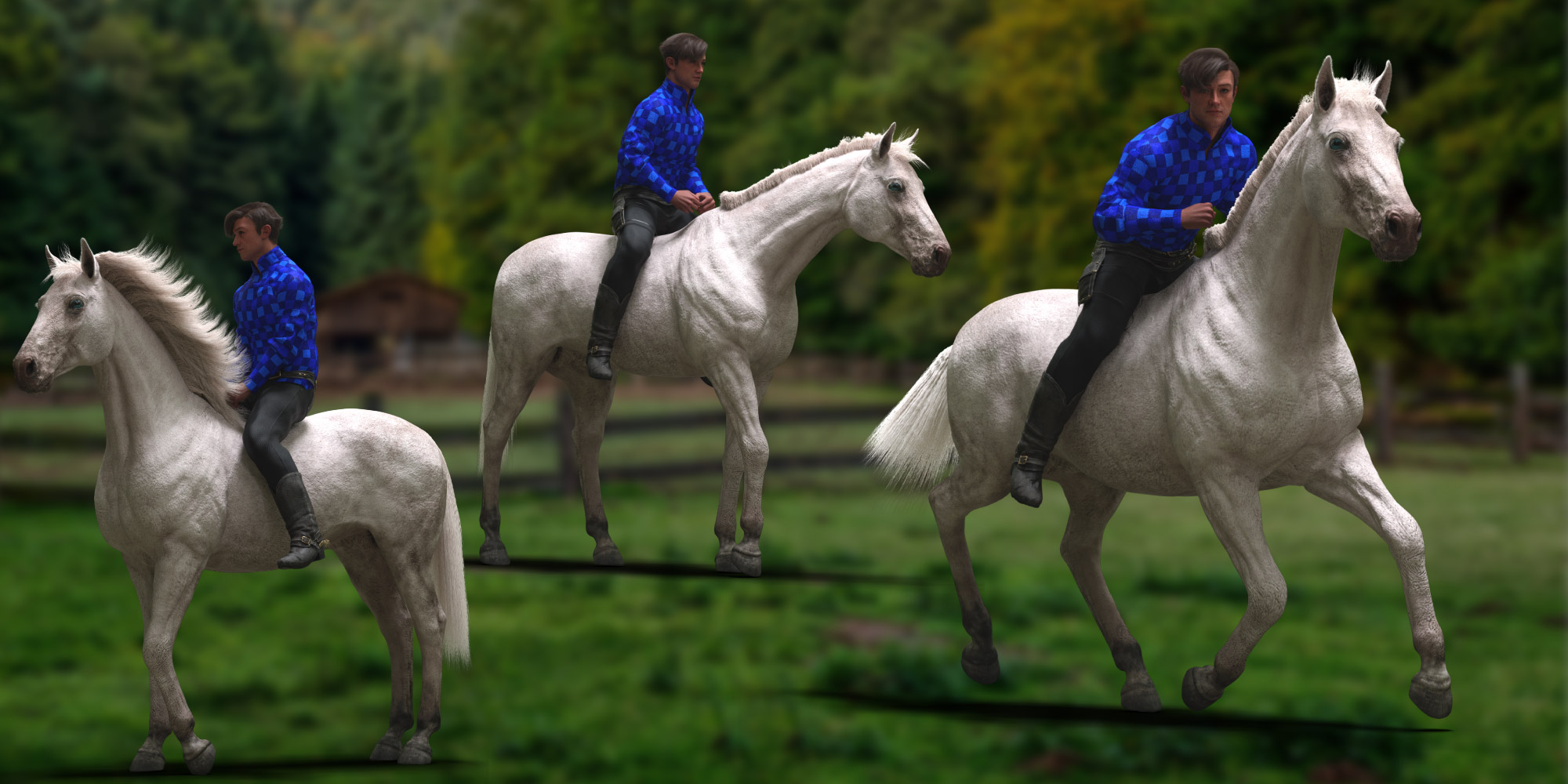 DA Wrangler Poses for Daz Horse 3 and Genesis 9 | Daz 3D