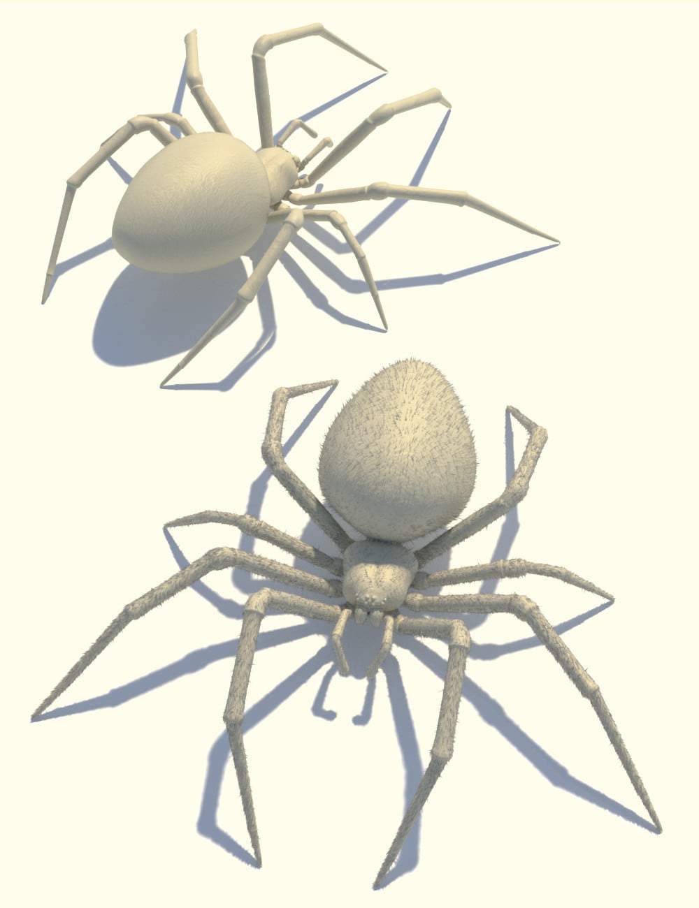 Garden Spider | Daz 3D