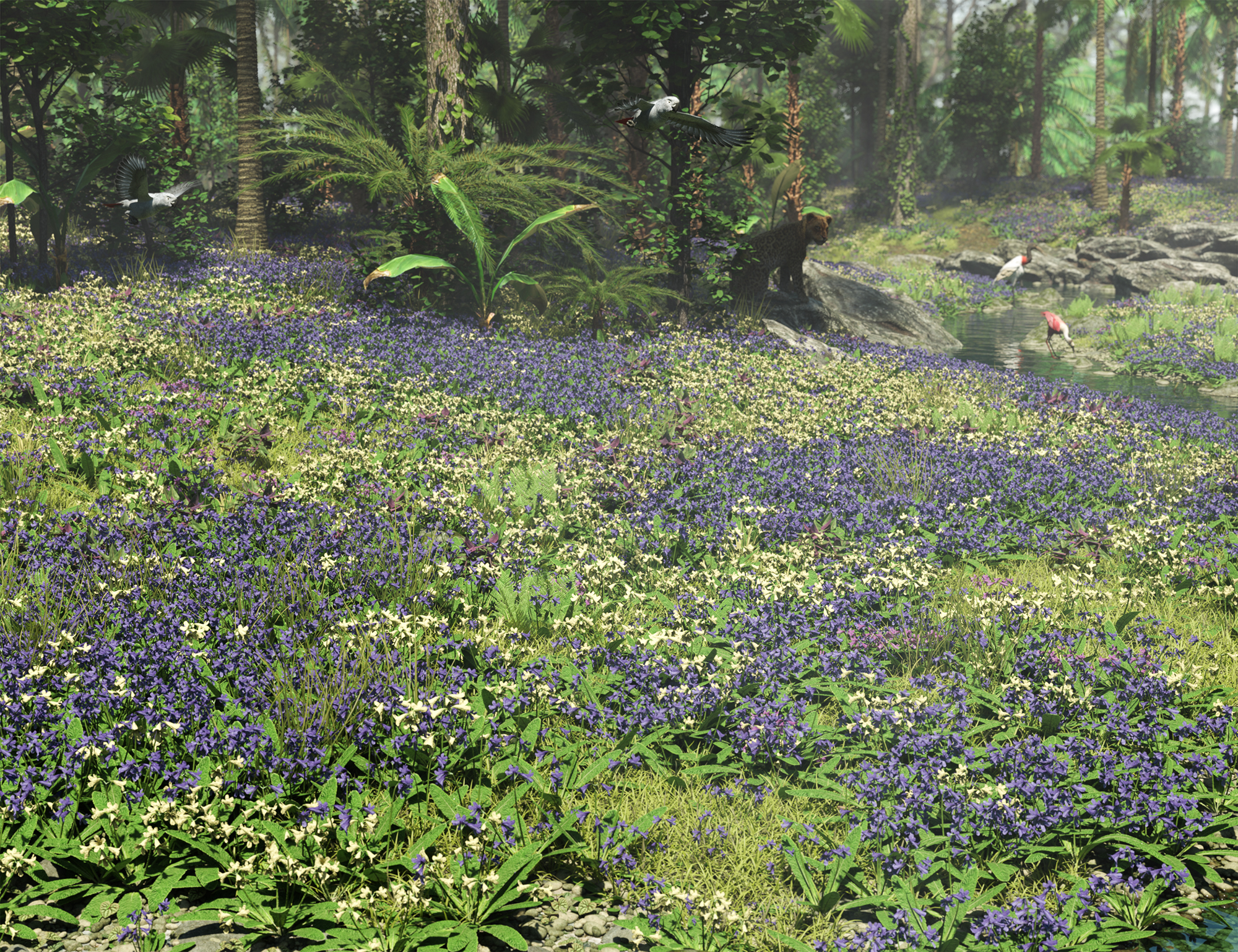 Cape Primrose - Tropical Streptocarpus Plants for Daz Studio | Daz 3D