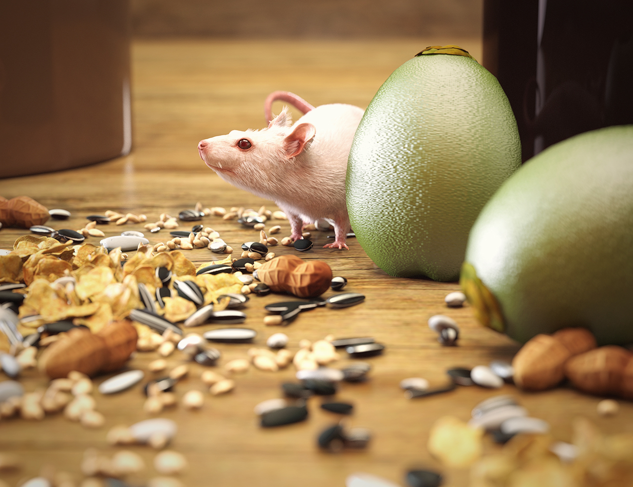 TF Mouse Food | Daz 3D