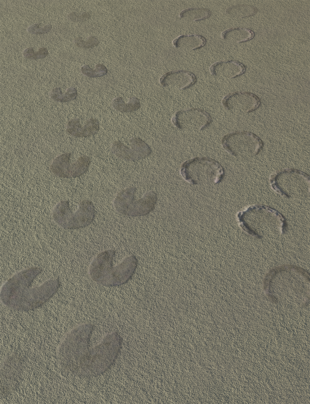 Animal Tracks and Footprint Decals for Daz Studio | Daz 3D