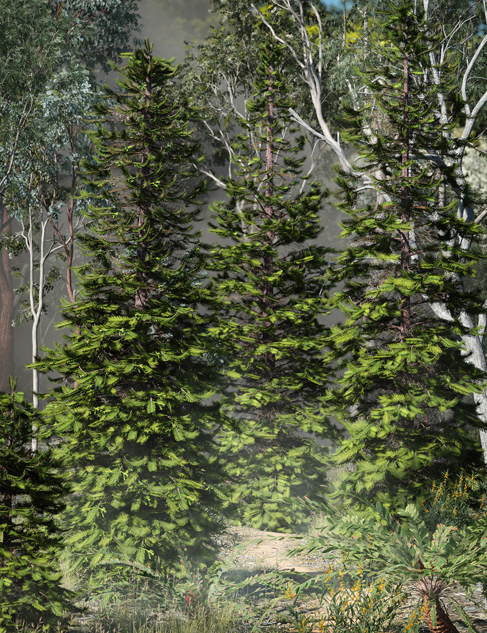 Wollemi Pine Trees - Prehistoric Plants | Daz 3D