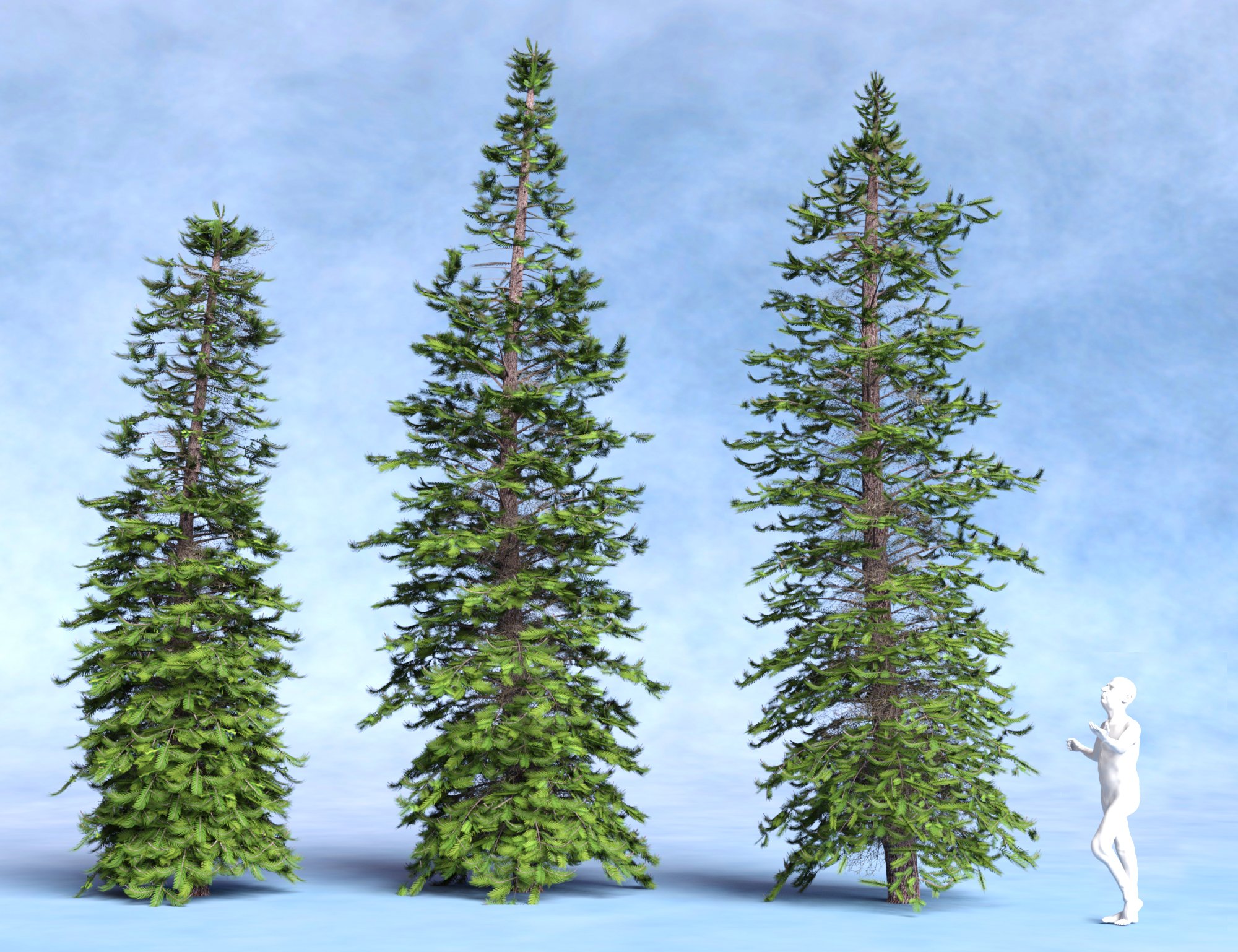 Wollemi Pine Trees - Prehistoric Plants | Daz 3D