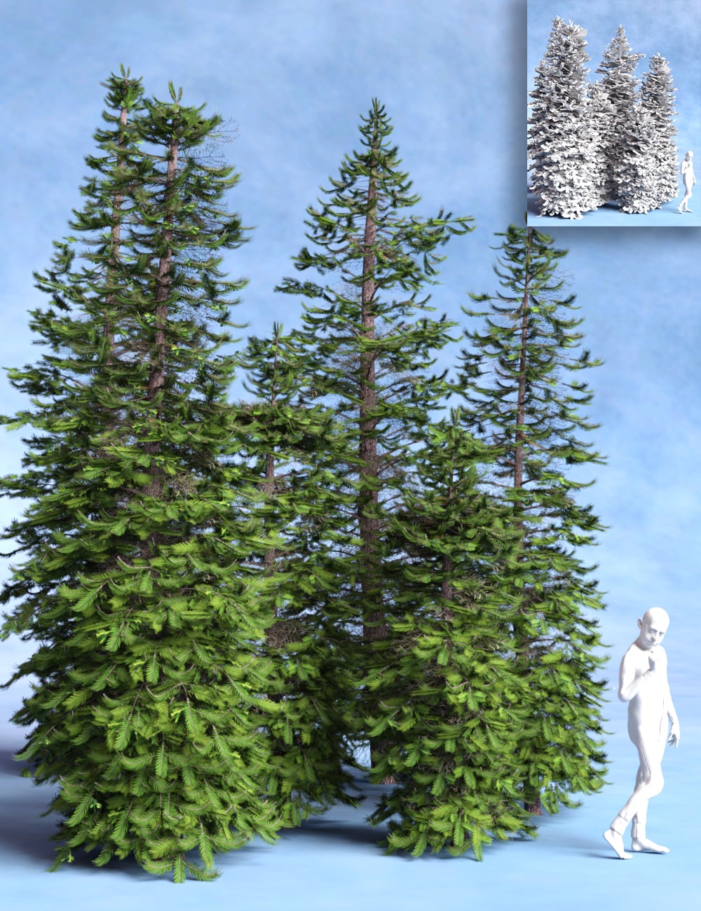 Wollemi Pine Trees - Prehistoric Plants | Daz 3D
