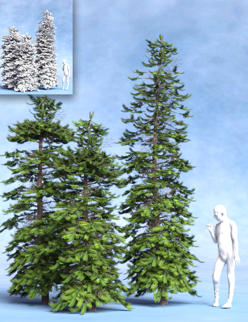 Wollemi Pine Trees - Prehistoric Plants | Daz 3D