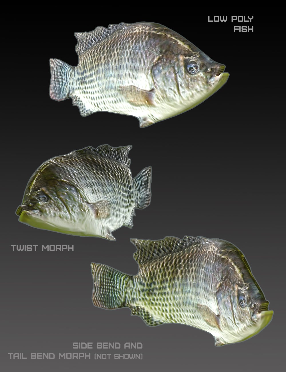 Fish Market Cart | Daz 3D