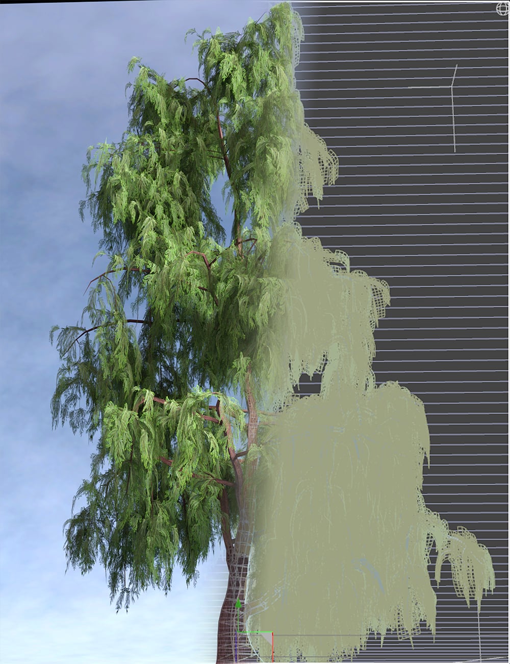 Kashmir Cypress Trees for Daz Studio | Daz 3D