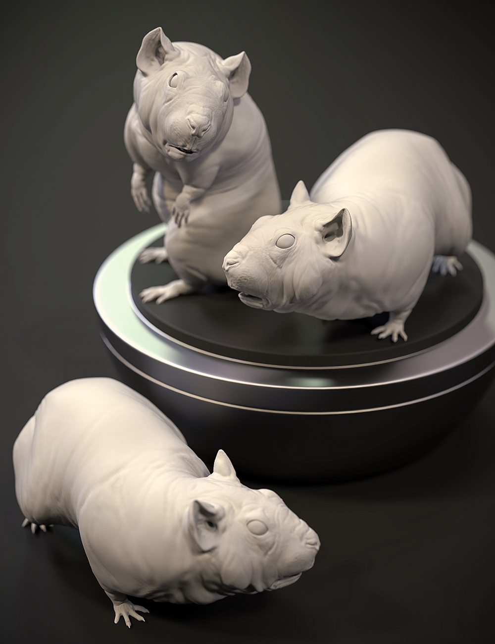 Guinea Pig for Daz Rodent | Daz 3D