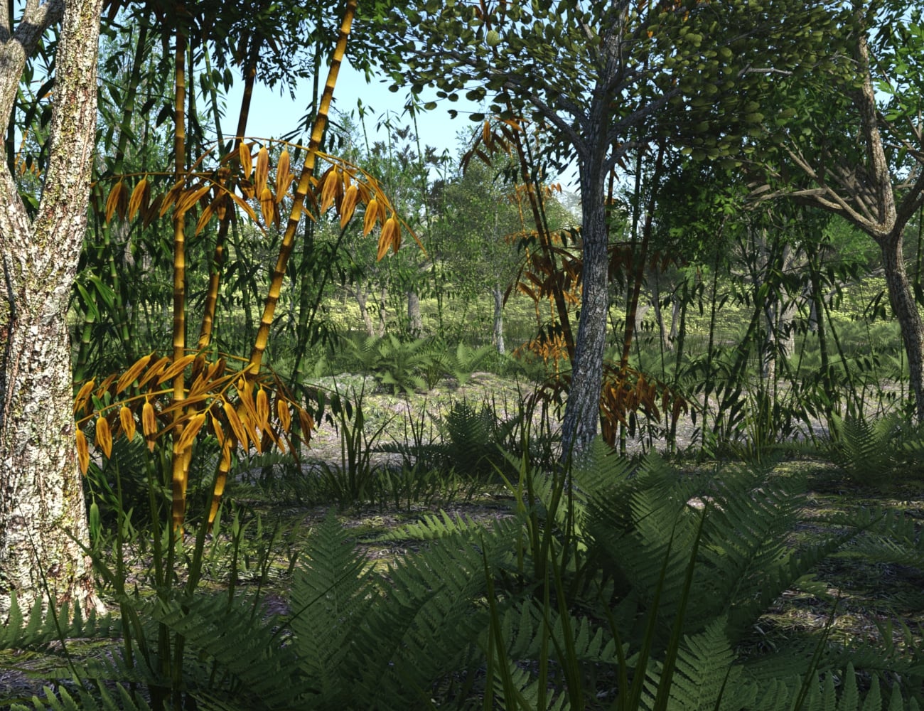 The Dirt Road | Daz 3D