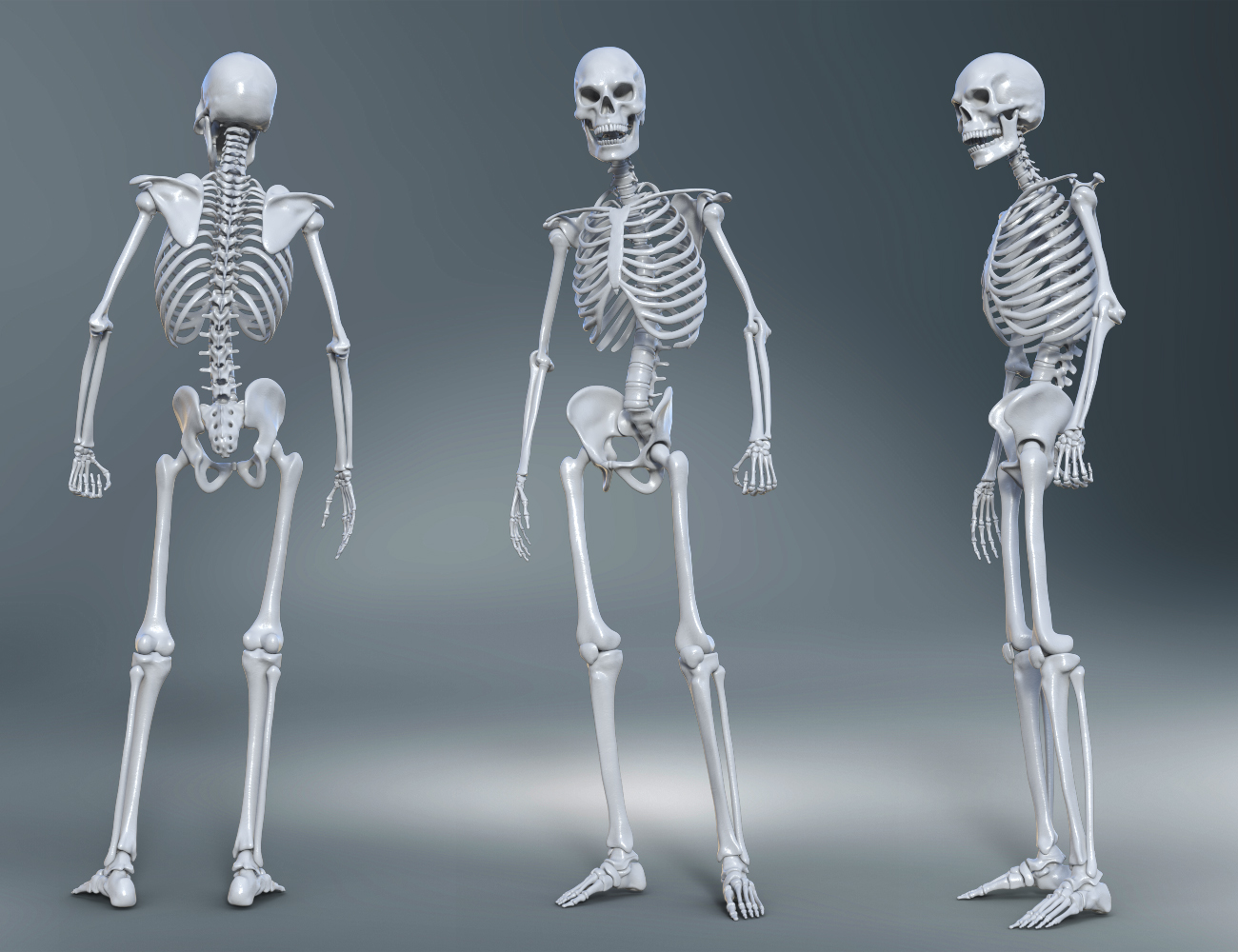 Midnight Bones for Genesis 9 | Daz 3D