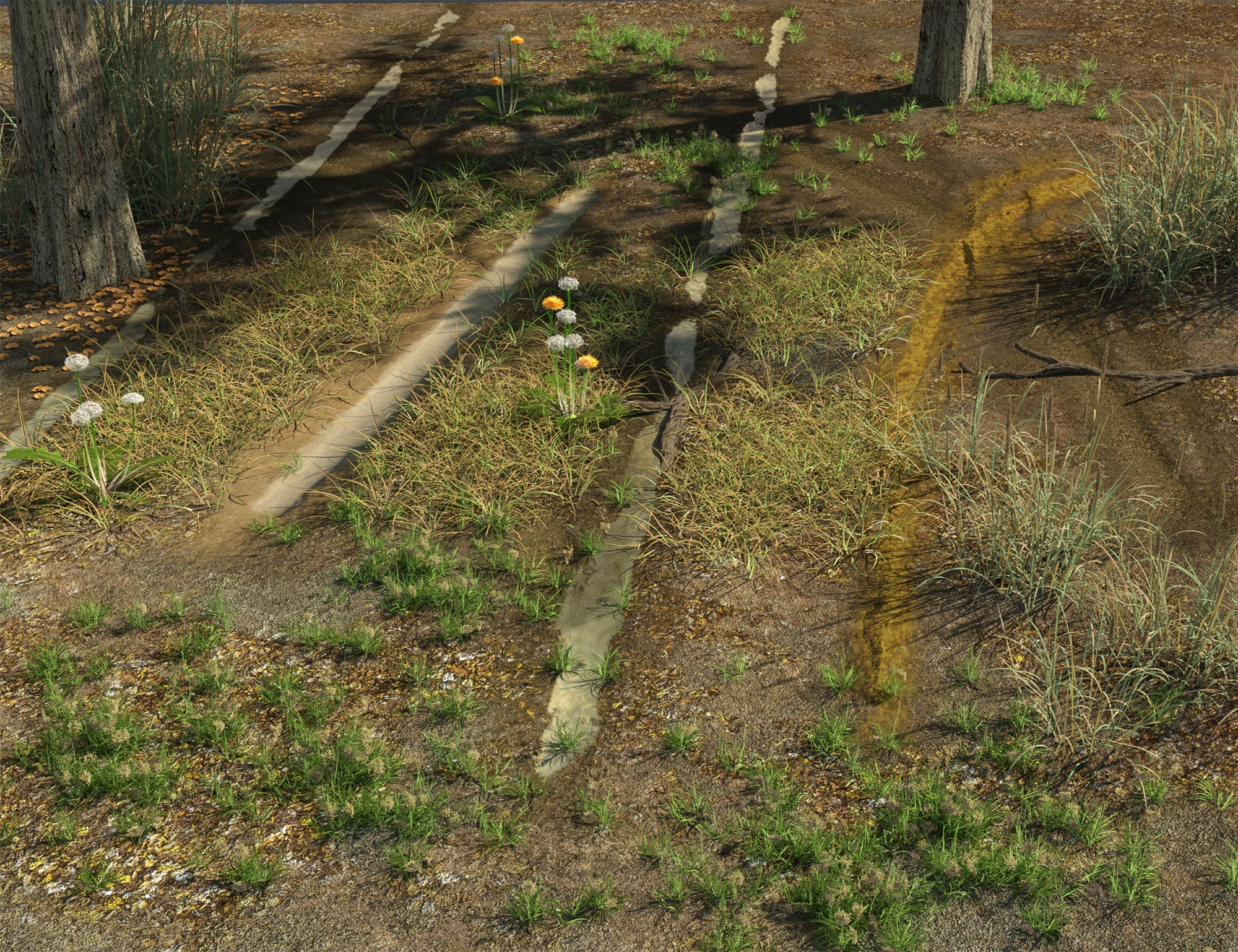 Tire Tracks and Road Rut Decals | Daz 3D