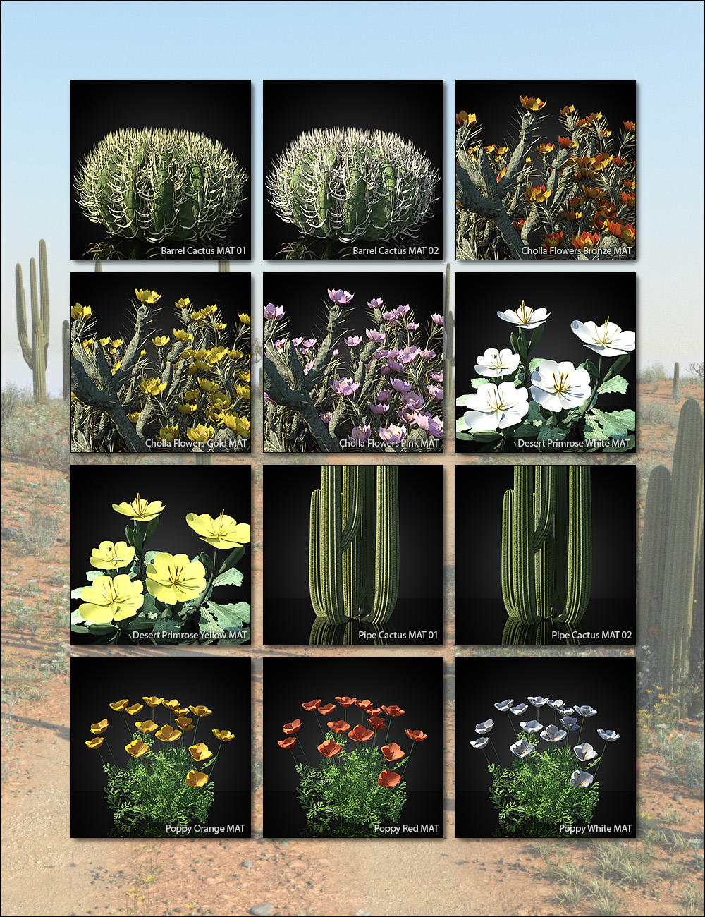 Desert Botanica | Daz 3D
