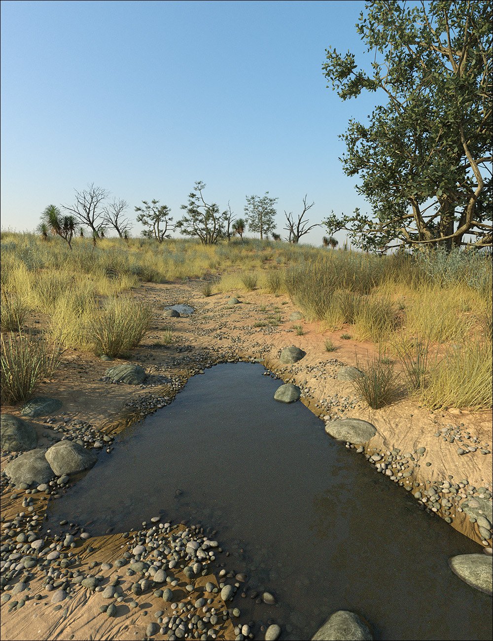 Desert Botanica - Bundle | Daz 3D