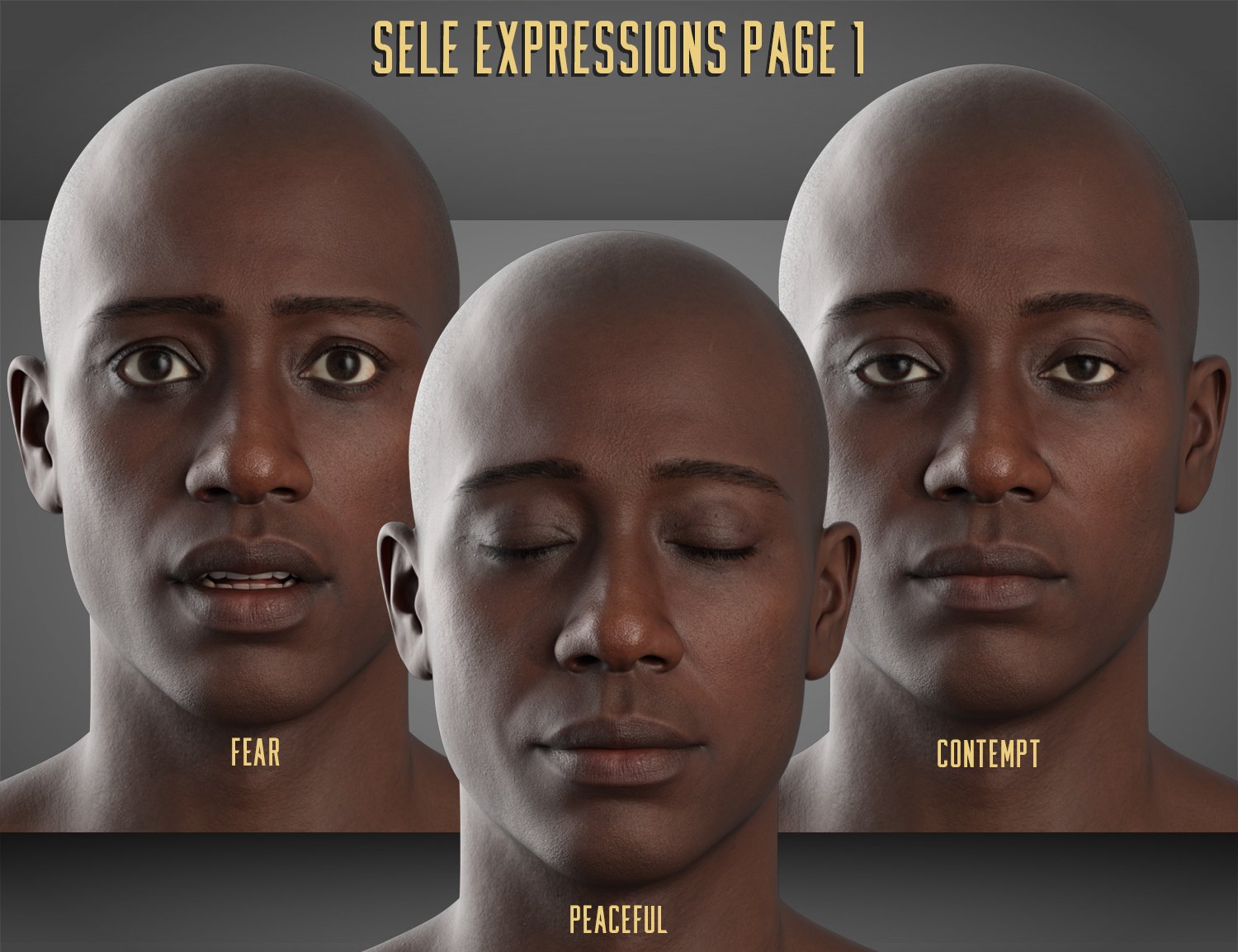 Subtle Expressions Lawrence 9 Edition | Daz 3D