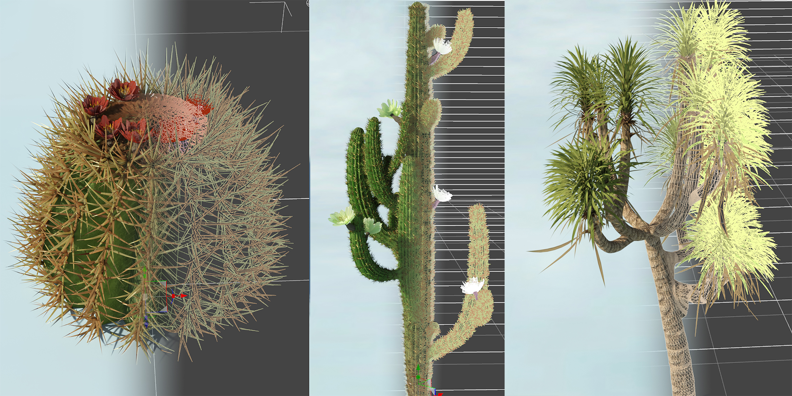 Desert Cacti and Joshua Trees | Daz 3D