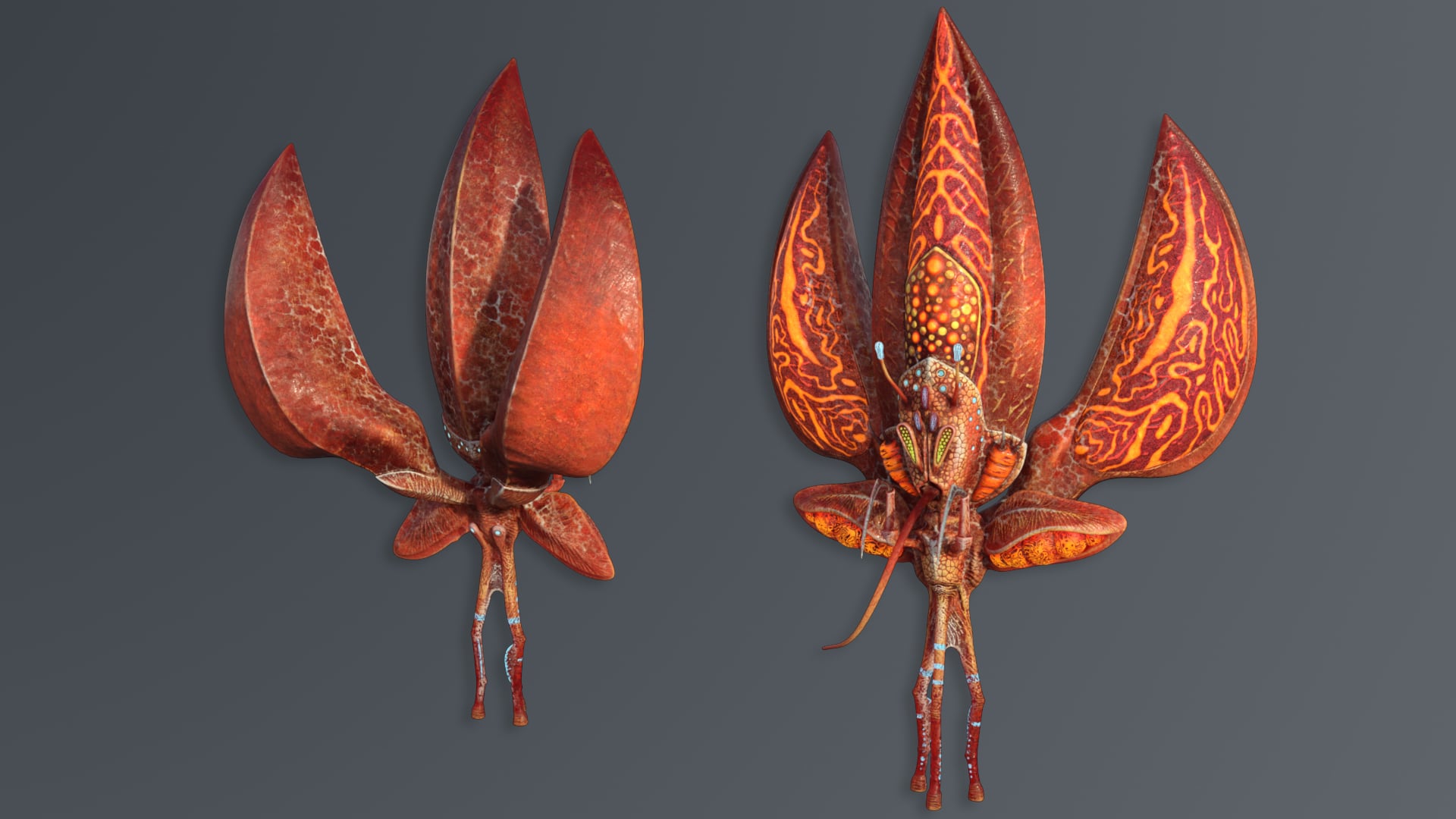 Animal Erfe | Daz 3D