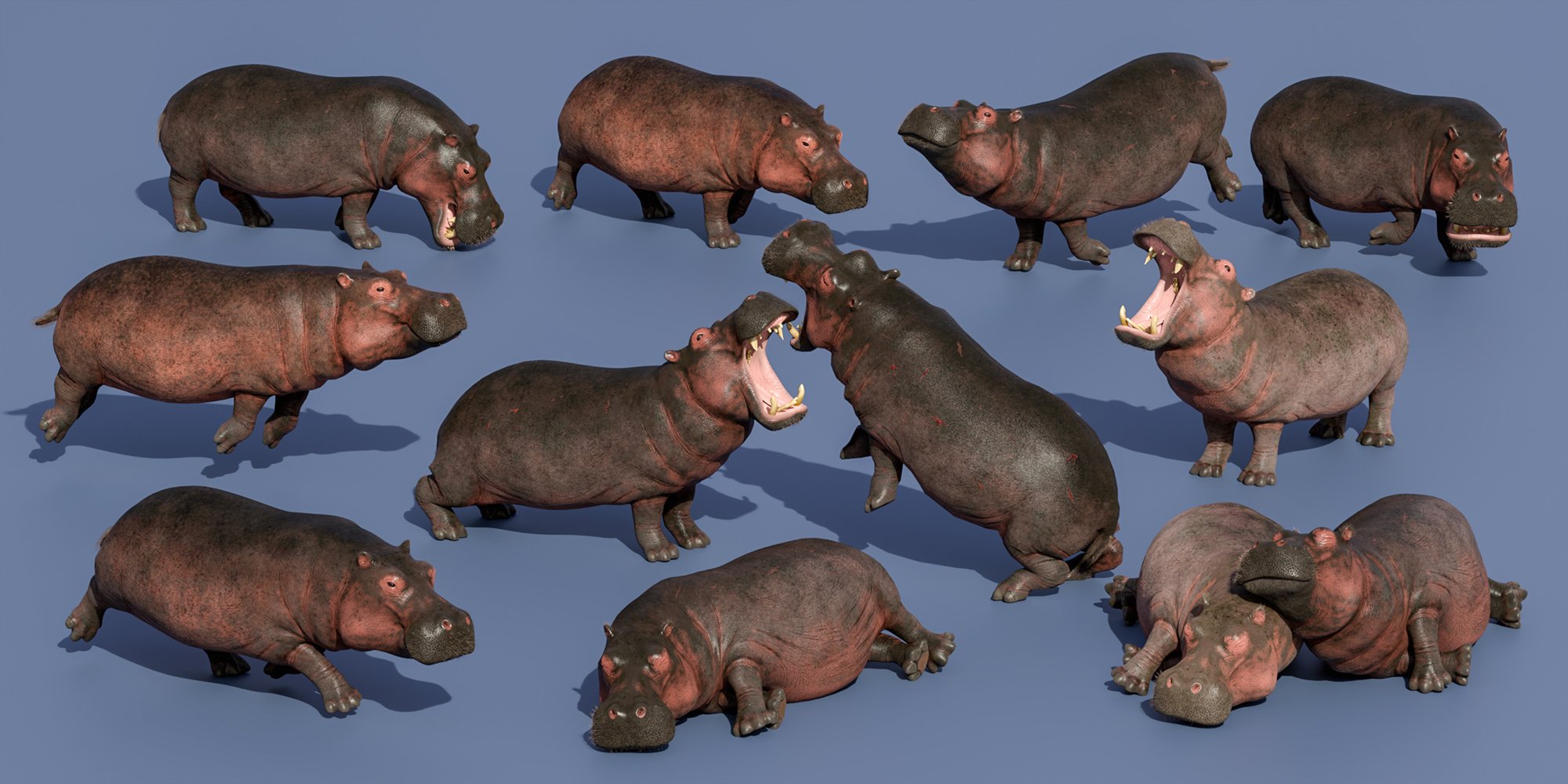 LoREZ Hippo | Daz 3D