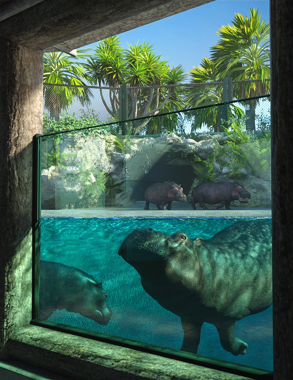Zoo Pool | Daz 3D