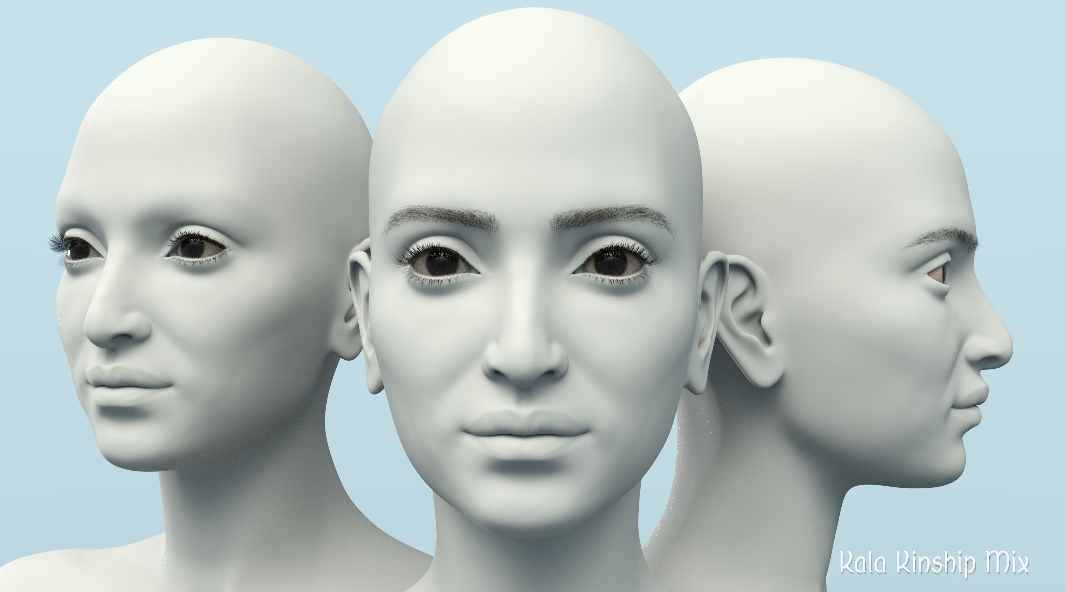Kala 9 Kinship Alternate Face Morphs | Daz 3D