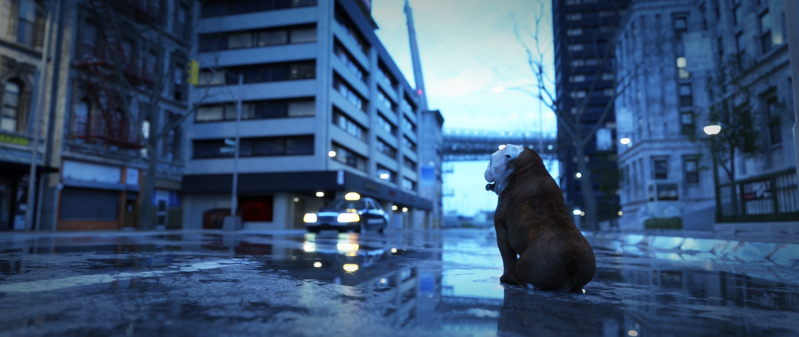 Iray Puddles | Daz 3D