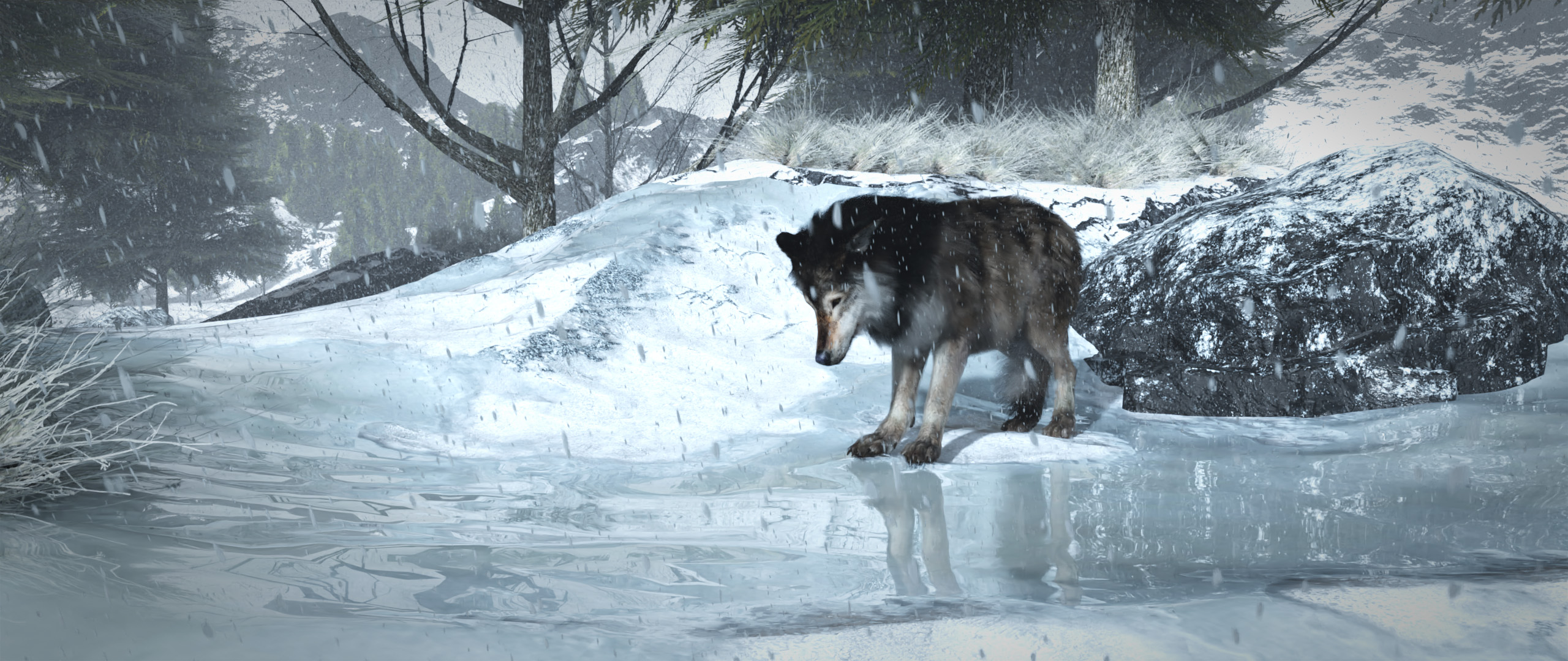 Iray Puddles | Daz 3D