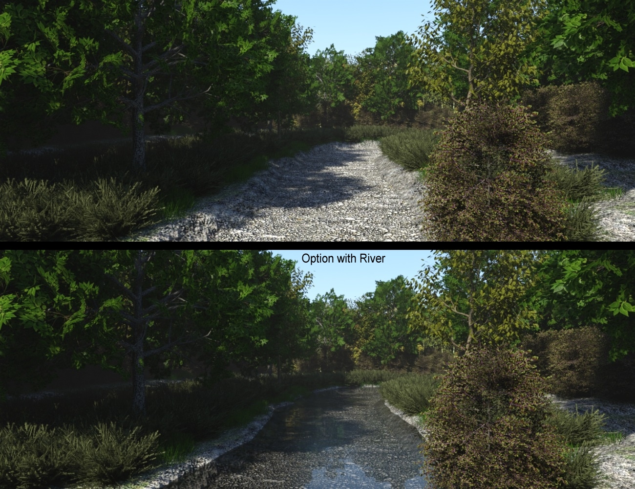 Path Through the Woods | Daz 3D