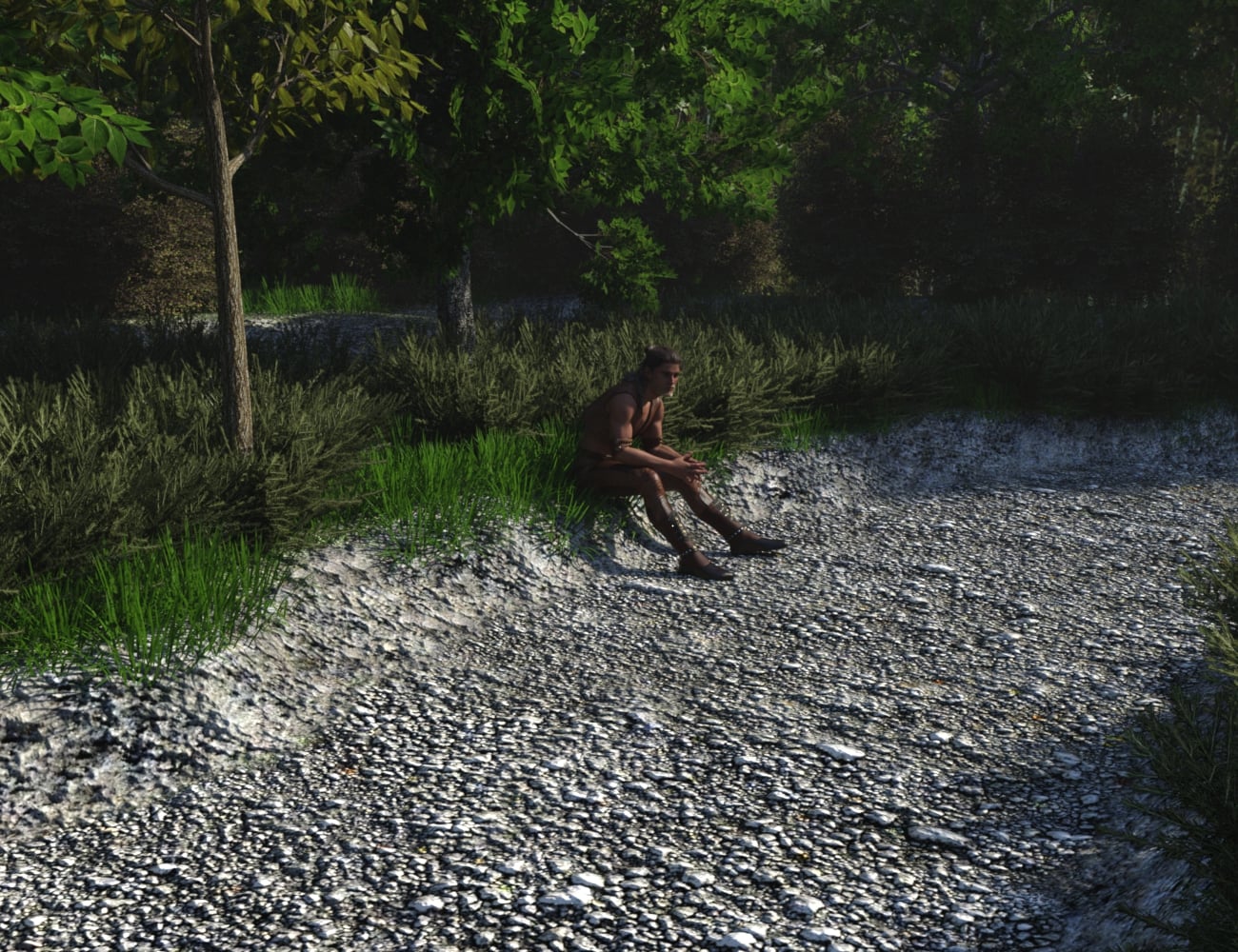 Path Through the Woods | Daz 3D