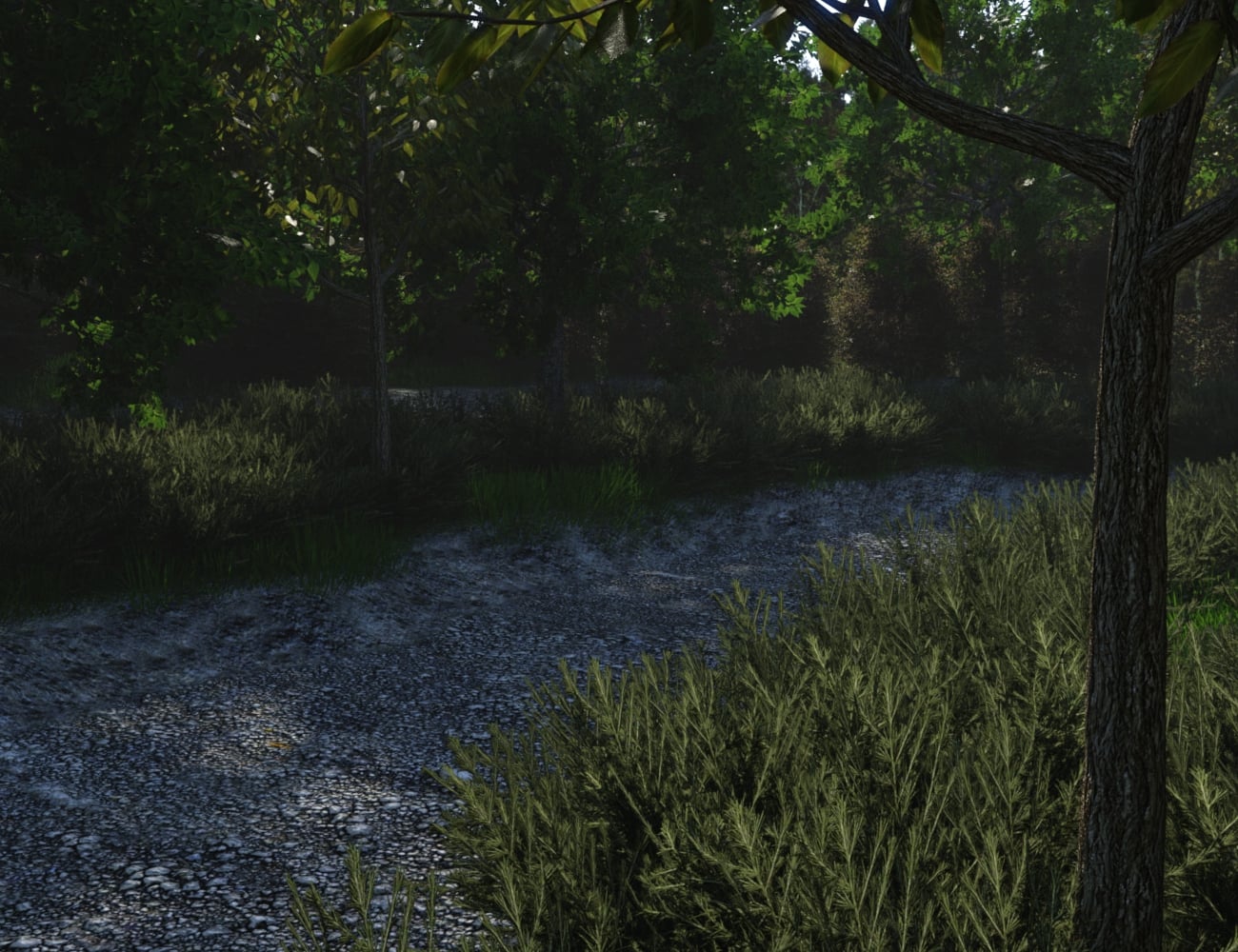 Path Through the Woods | Daz 3D