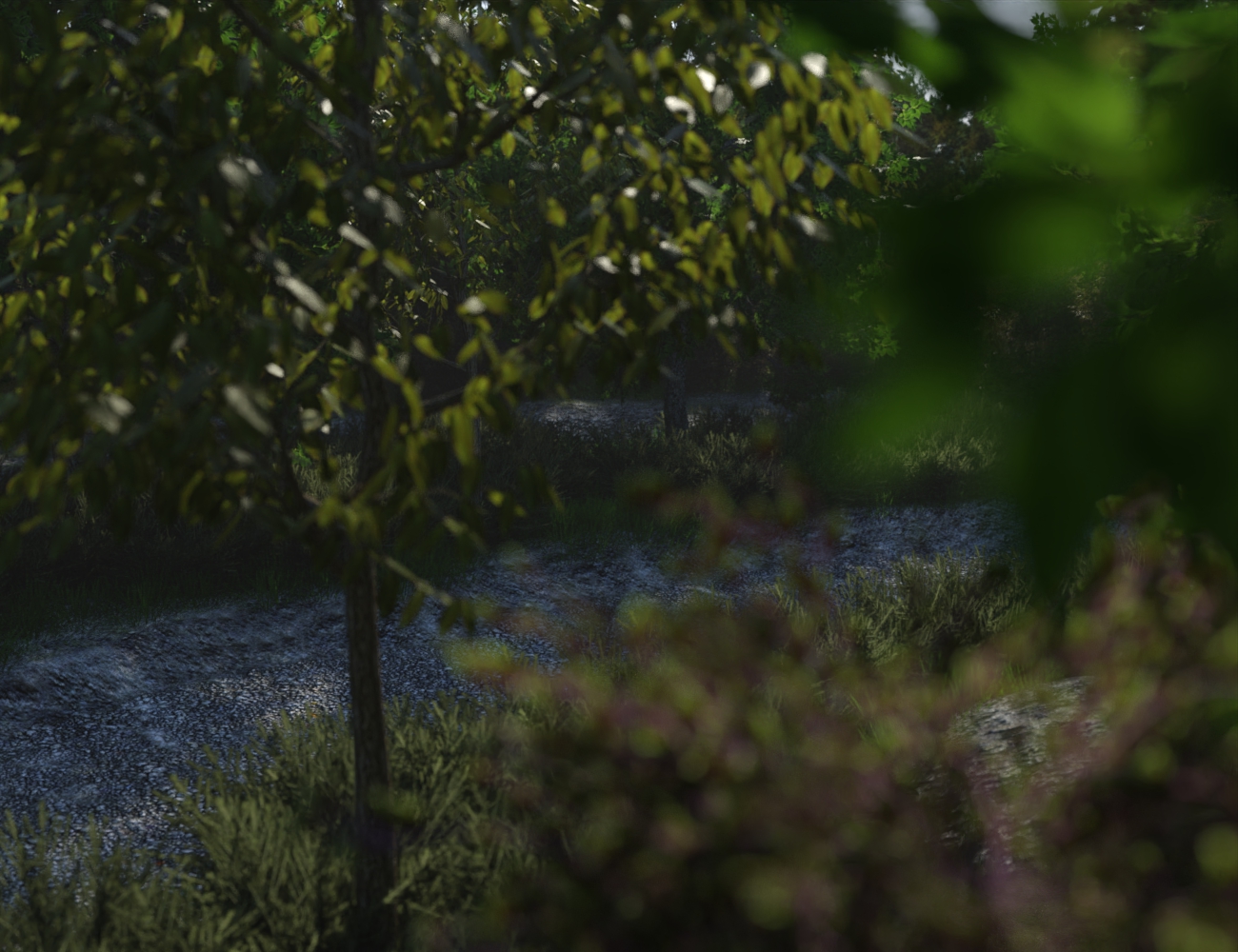 Path Through the Woods | Daz 3D