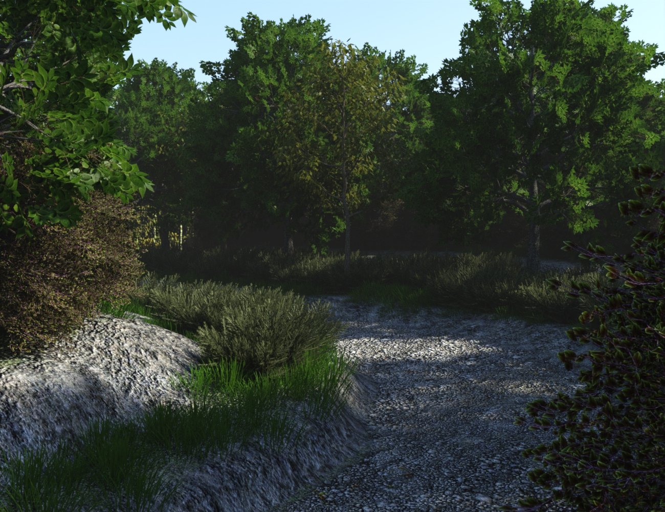 Path Through the Woods | Daz 3D