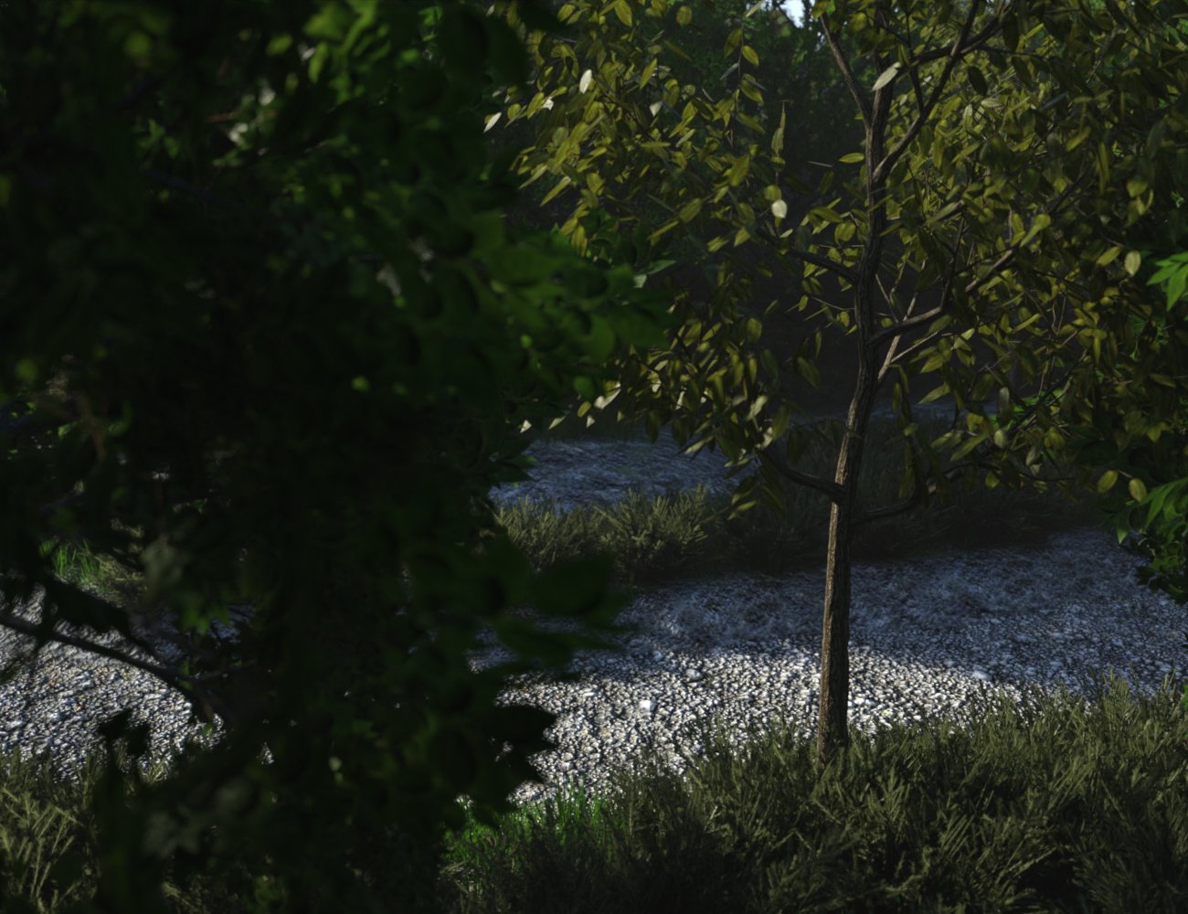 Path Through the Woods | Daz 3D