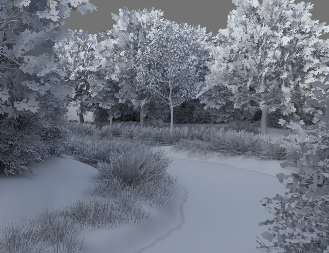 Path Through the Woods | Daz 3D