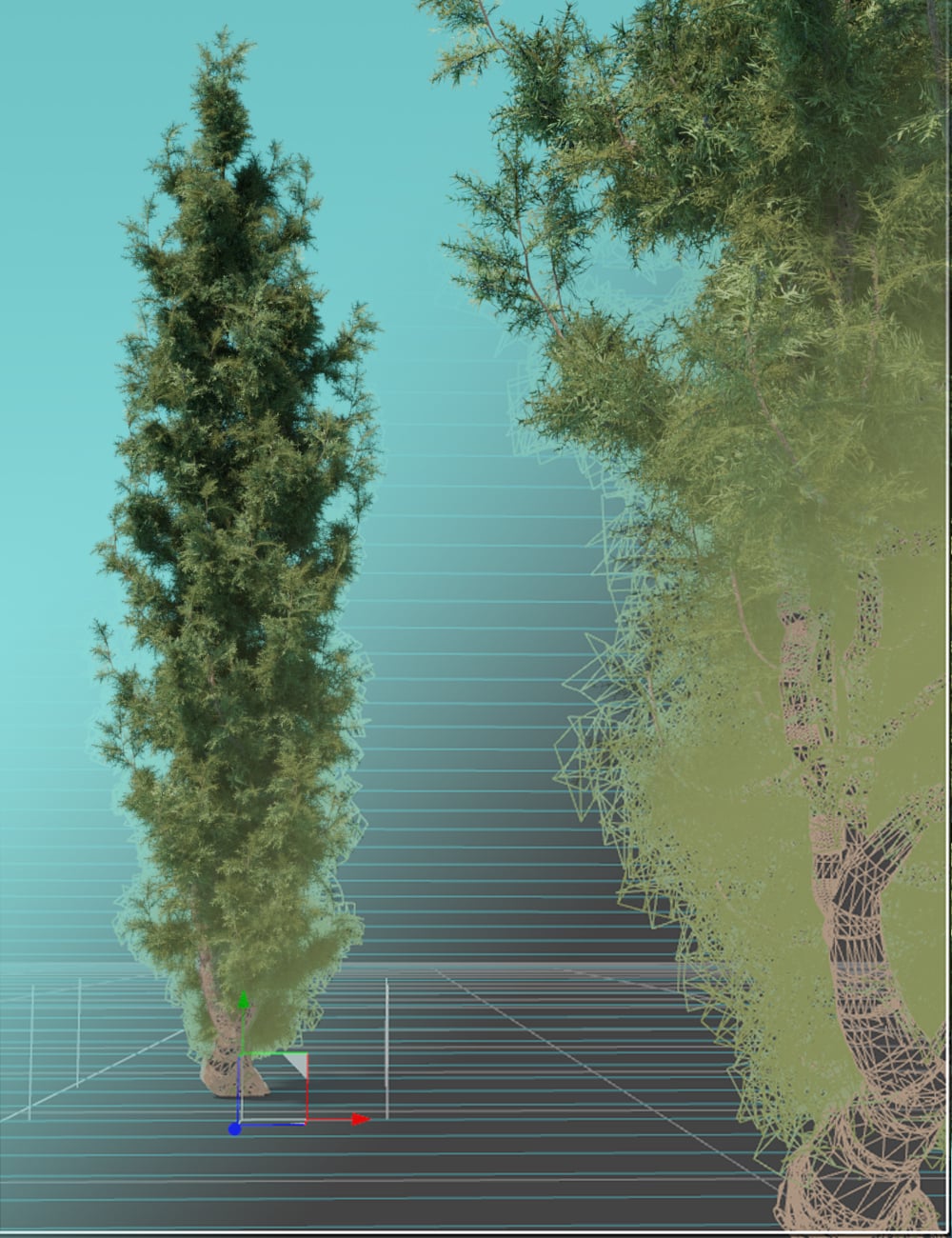Mediterranean Juniper High Resolution Plants and Trees | Daz 3D