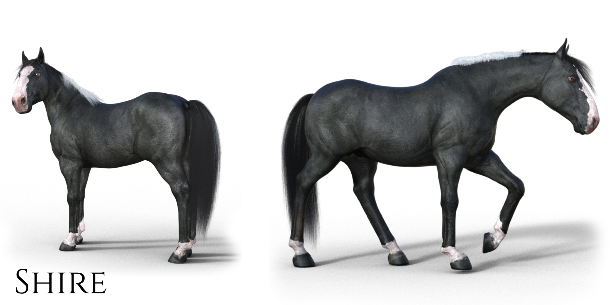 DA Ultimate Shape pack for Horse 3 - Breeds | Daz 3D