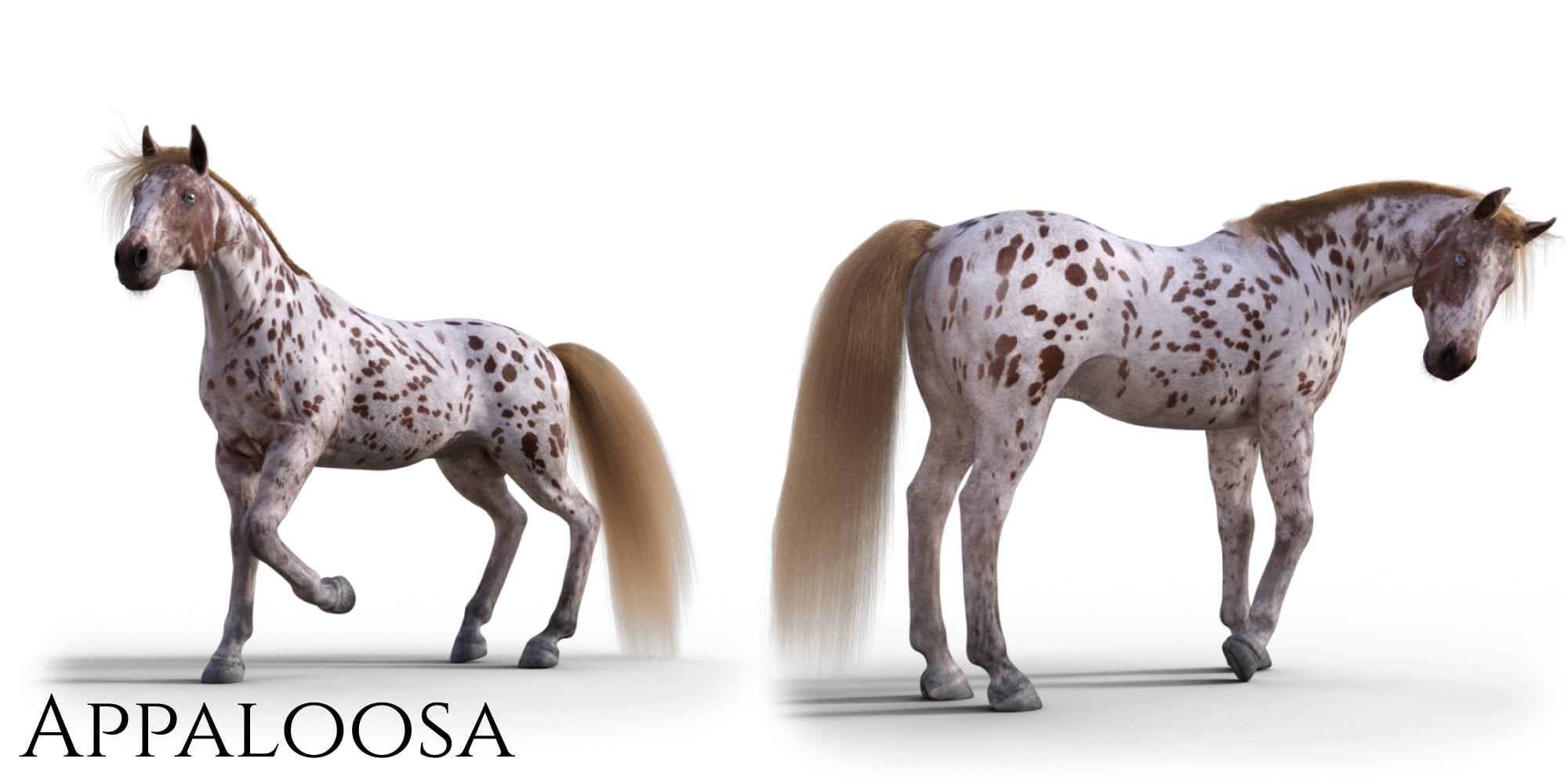 DA Ultimate Shape pack for Horse 3 - Breeds | Daz 3D