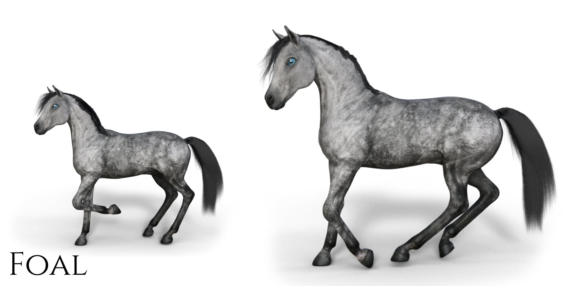 DA Ultimate Shape pack for Horse 3 - Breeds | Daz 3D
