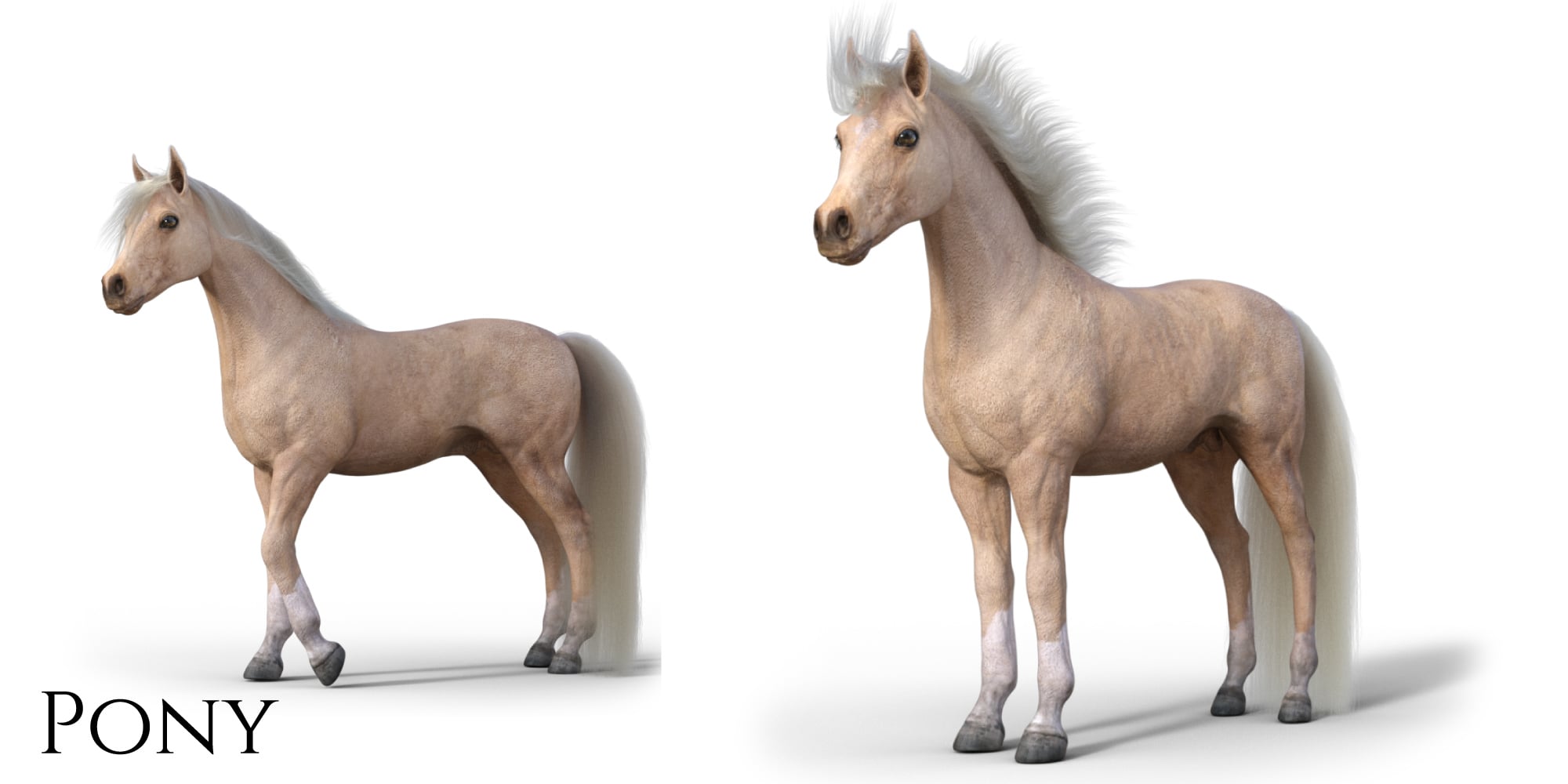 DA Ultimate Shape pack for Horse 3 - Breeds | Daz 3D