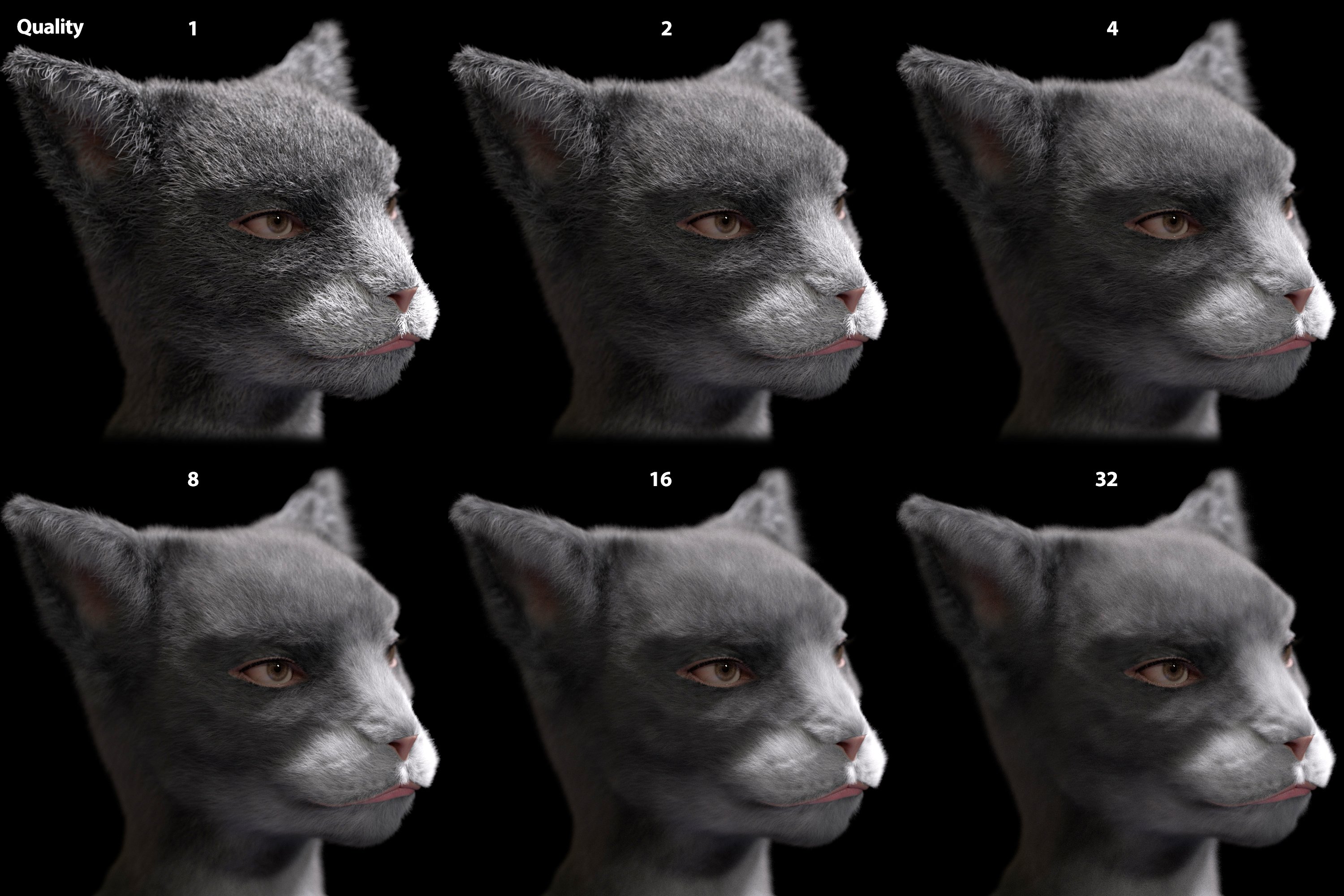 Oso Cat for Genesis 9 | Daz 3D