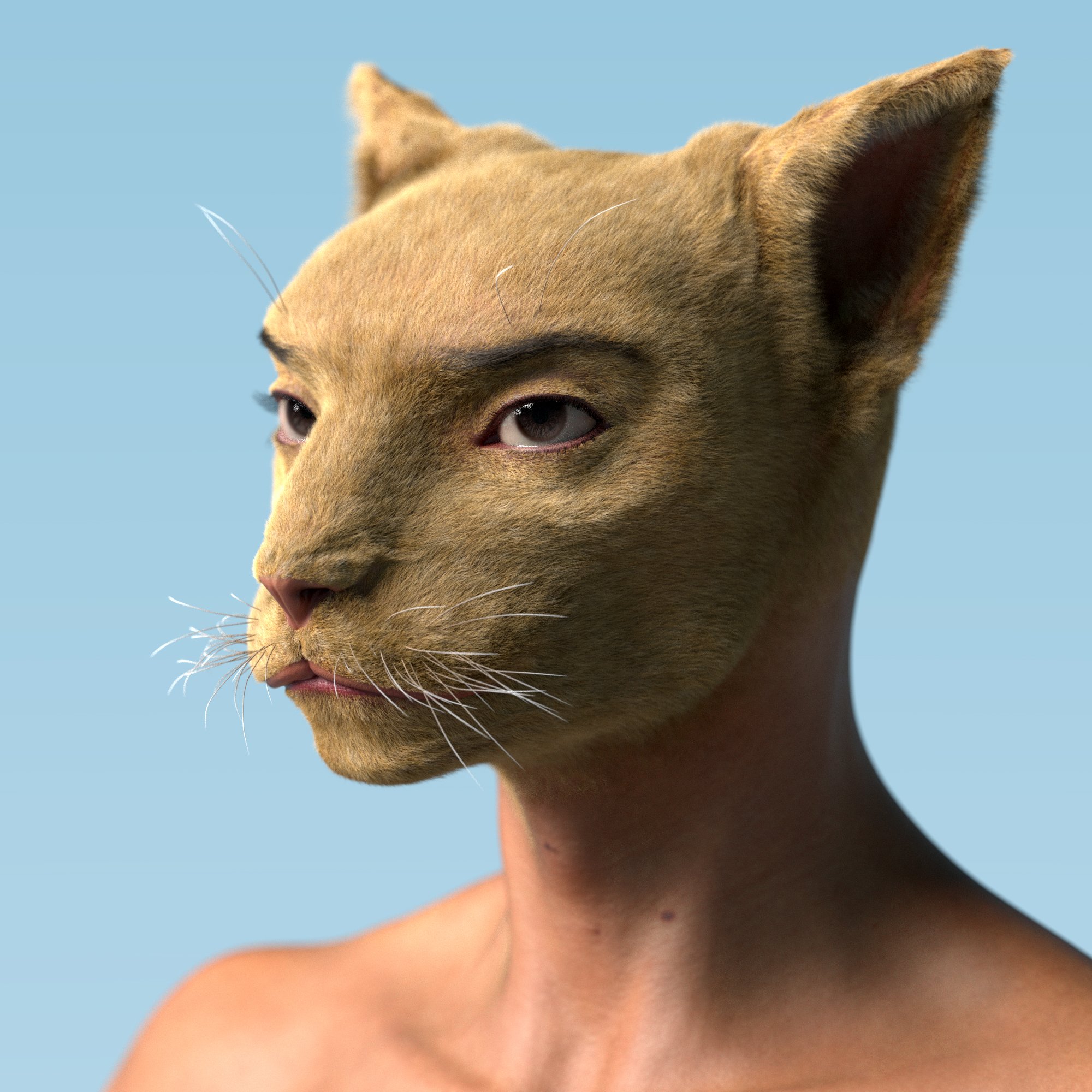 Oso Cat for Genesis 9 | Daz 3D