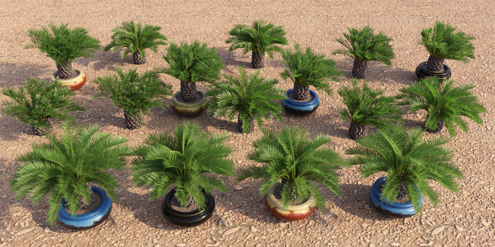 Predatron Dwarf Palm Trees | Daz 3D