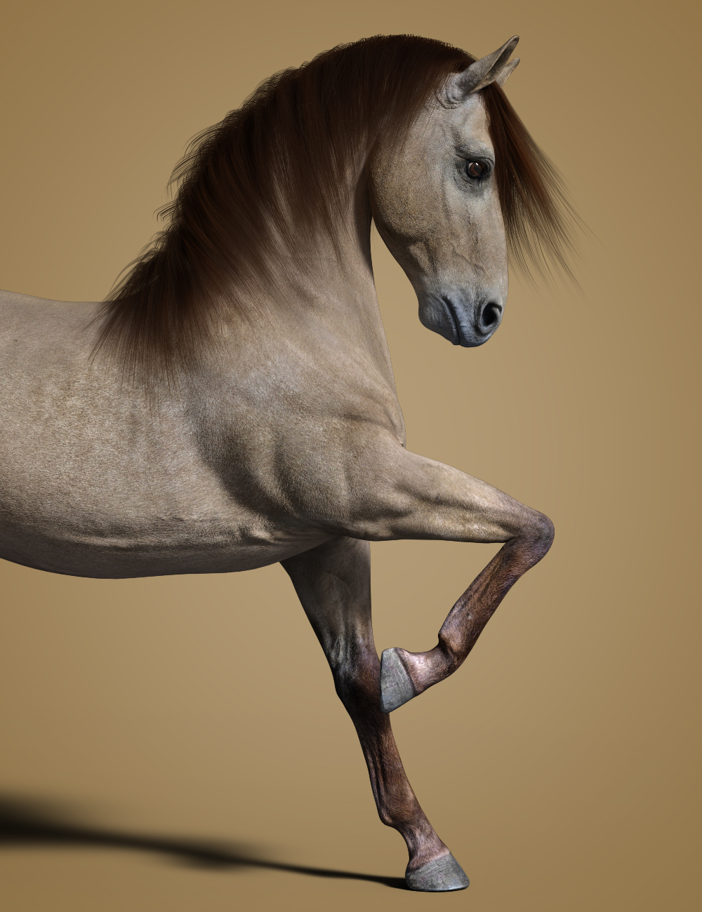 DS Horse for Daz Horse 3 | Daz 3D