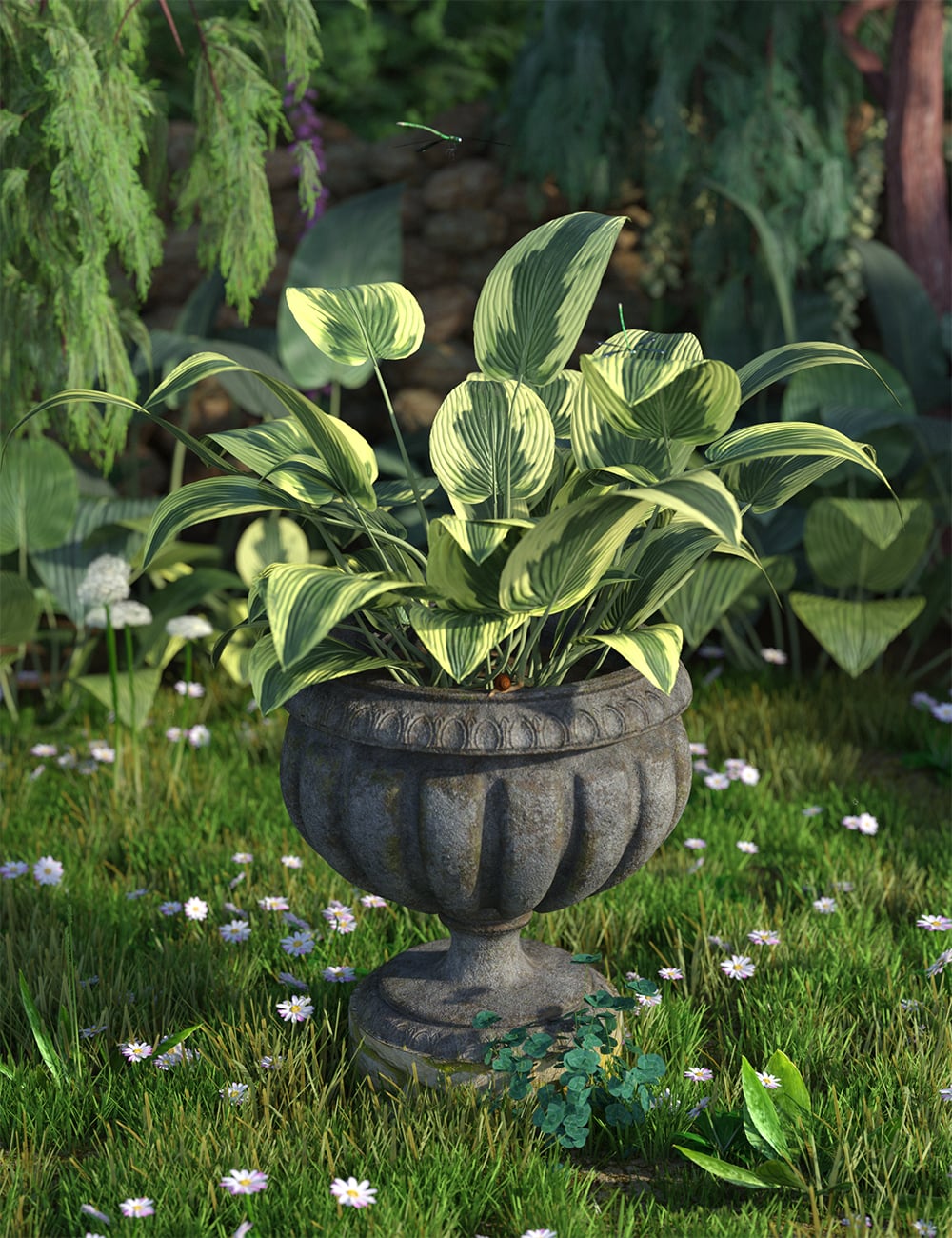 Hostas - Low Res Foliage Plants | Daz 3D