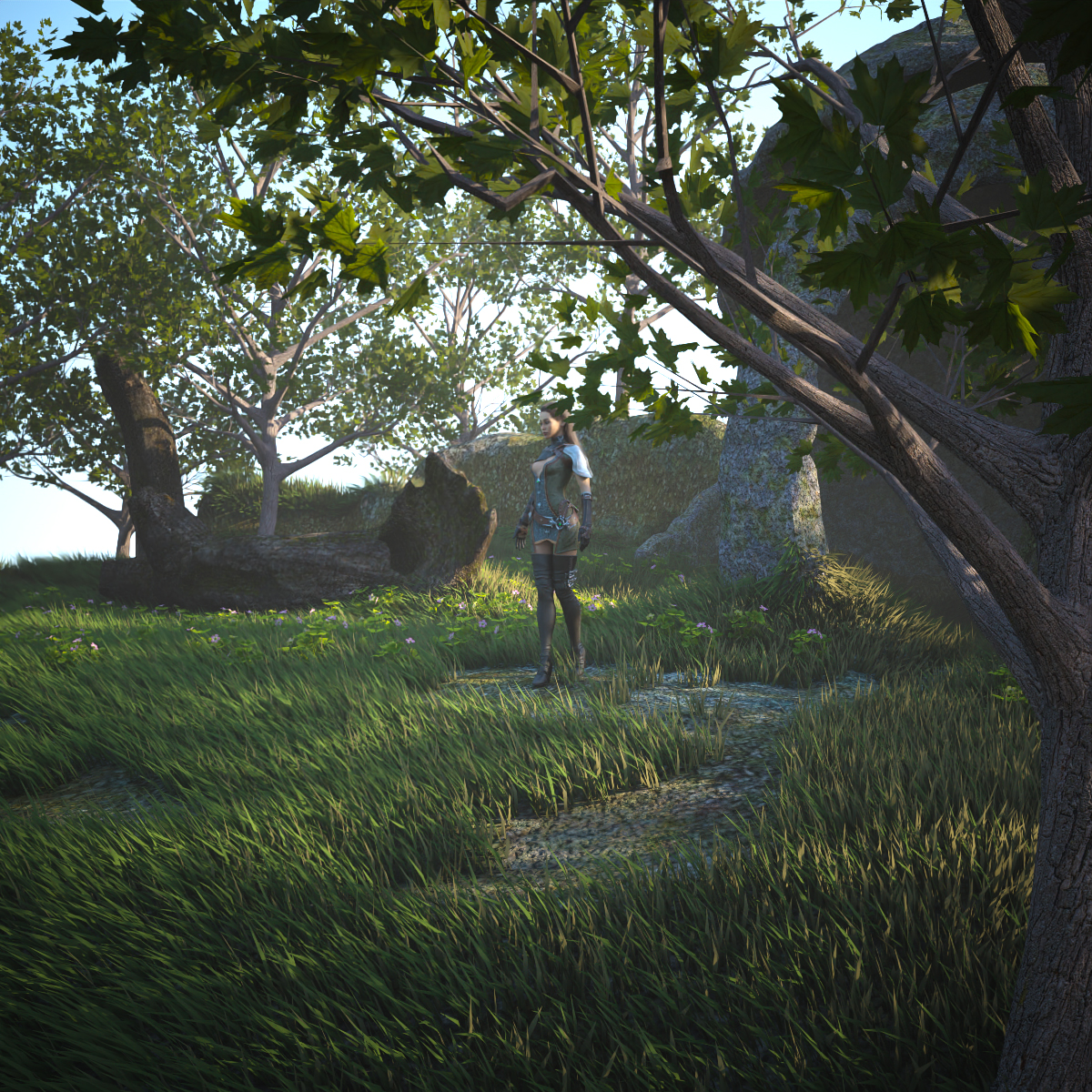 The Dome Old Tree | Daz 3D