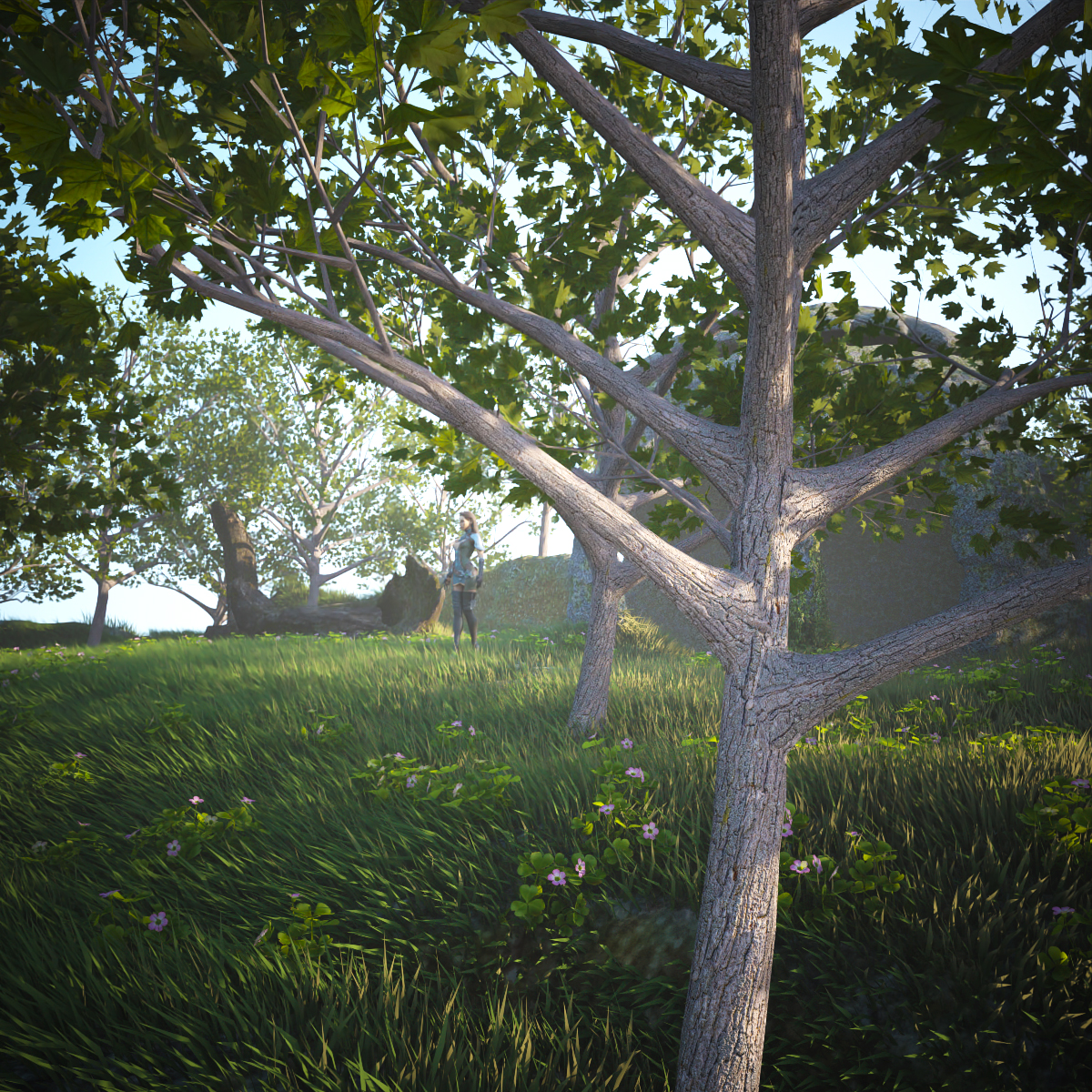 The Dome Old Tree | Daz 3D