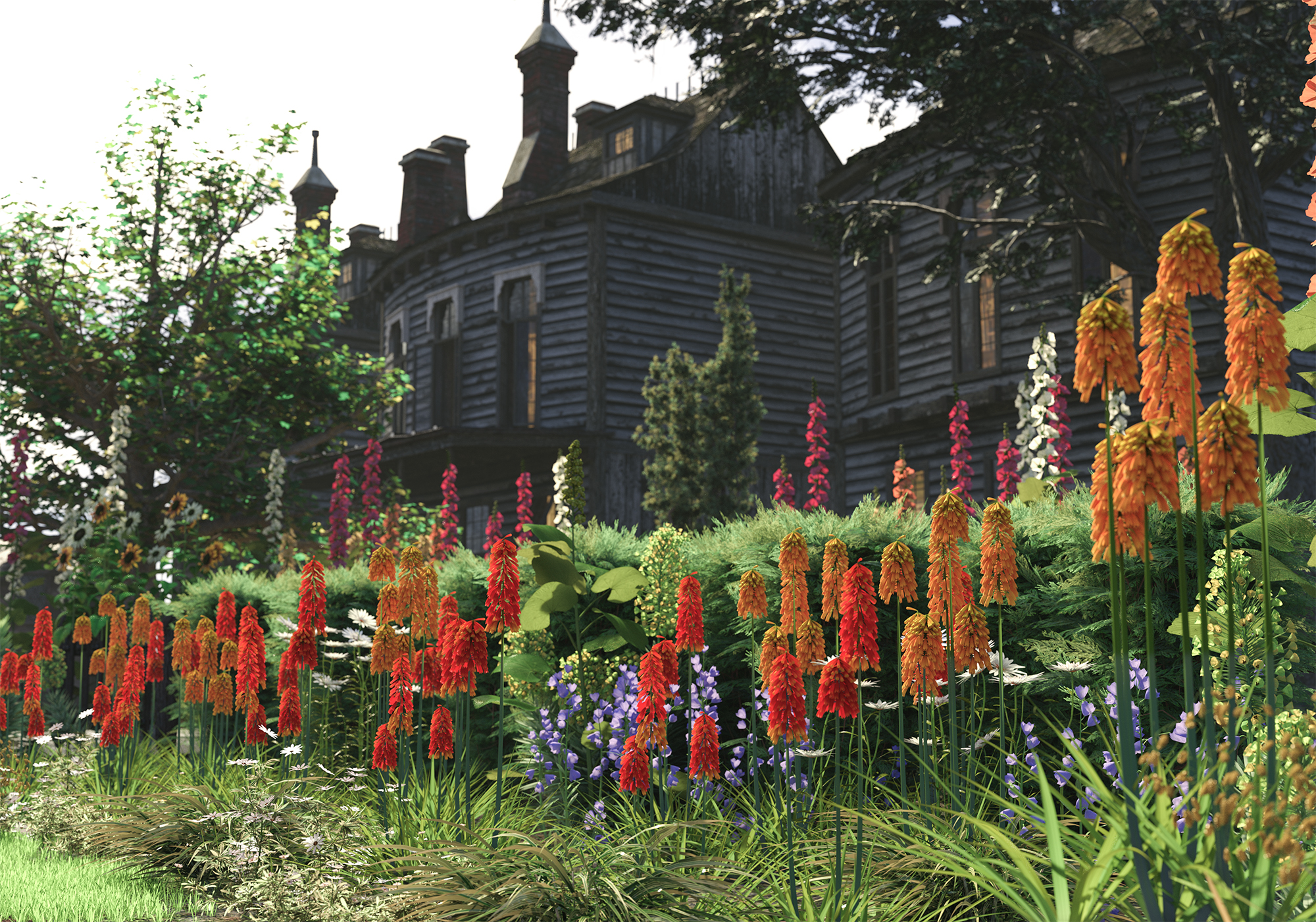 Kniphofia Plants - Red Hot Poker Flowers | Daz 3D